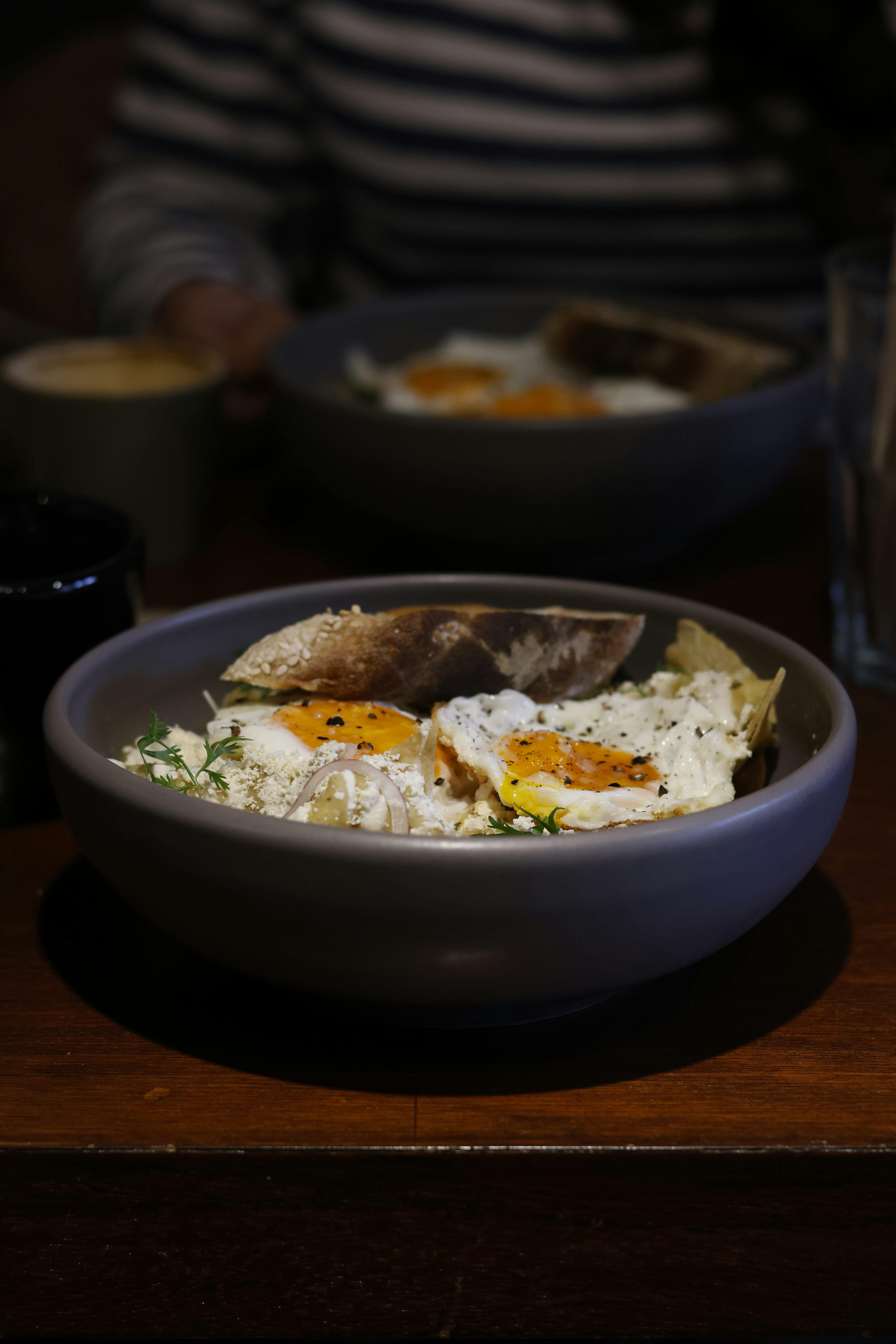 Quill Eggs Photos, Download The BEST Free Quill Eggs Stock Photos & HD ...