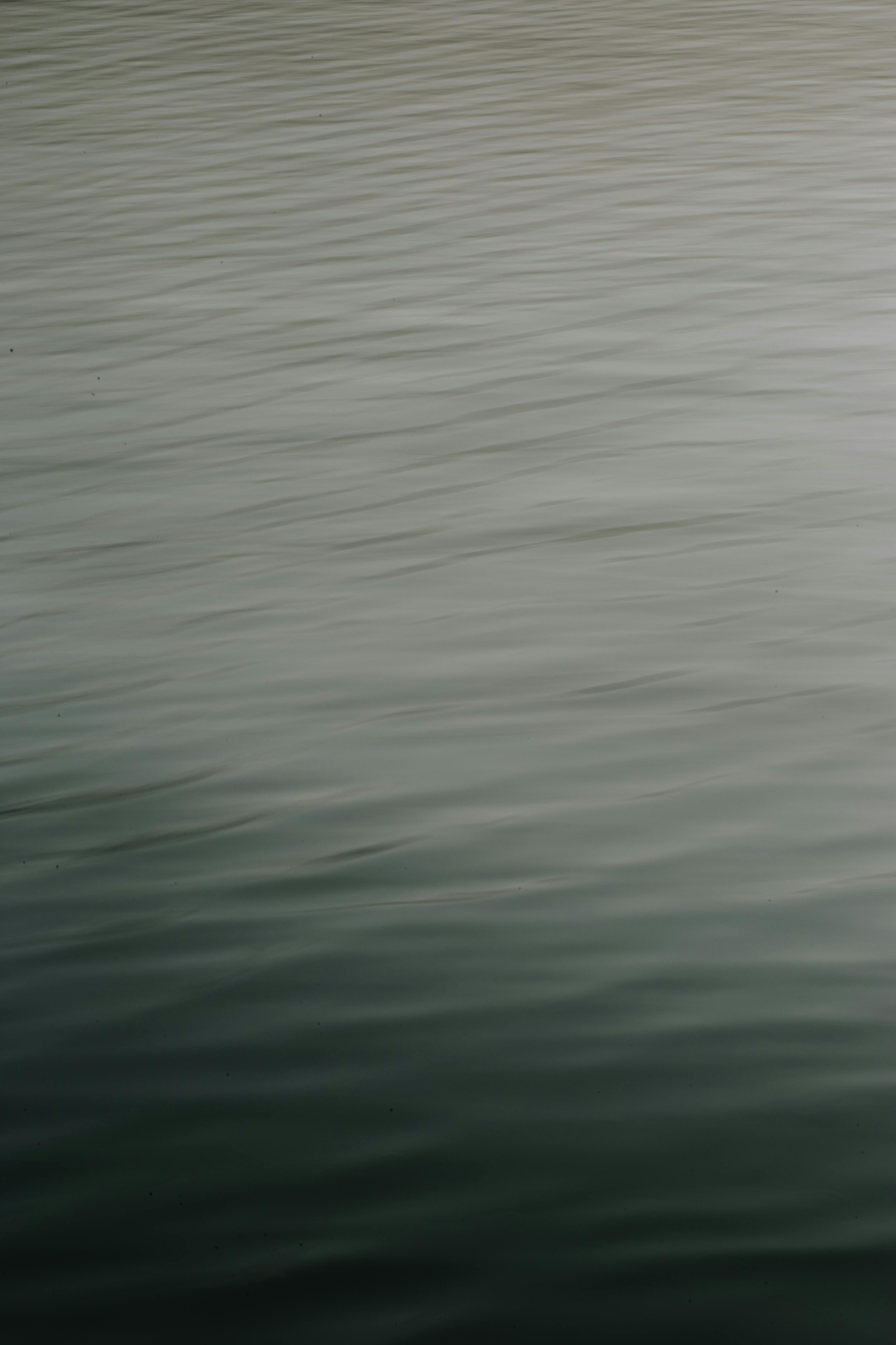 Surface of Water · Free Stock Photo