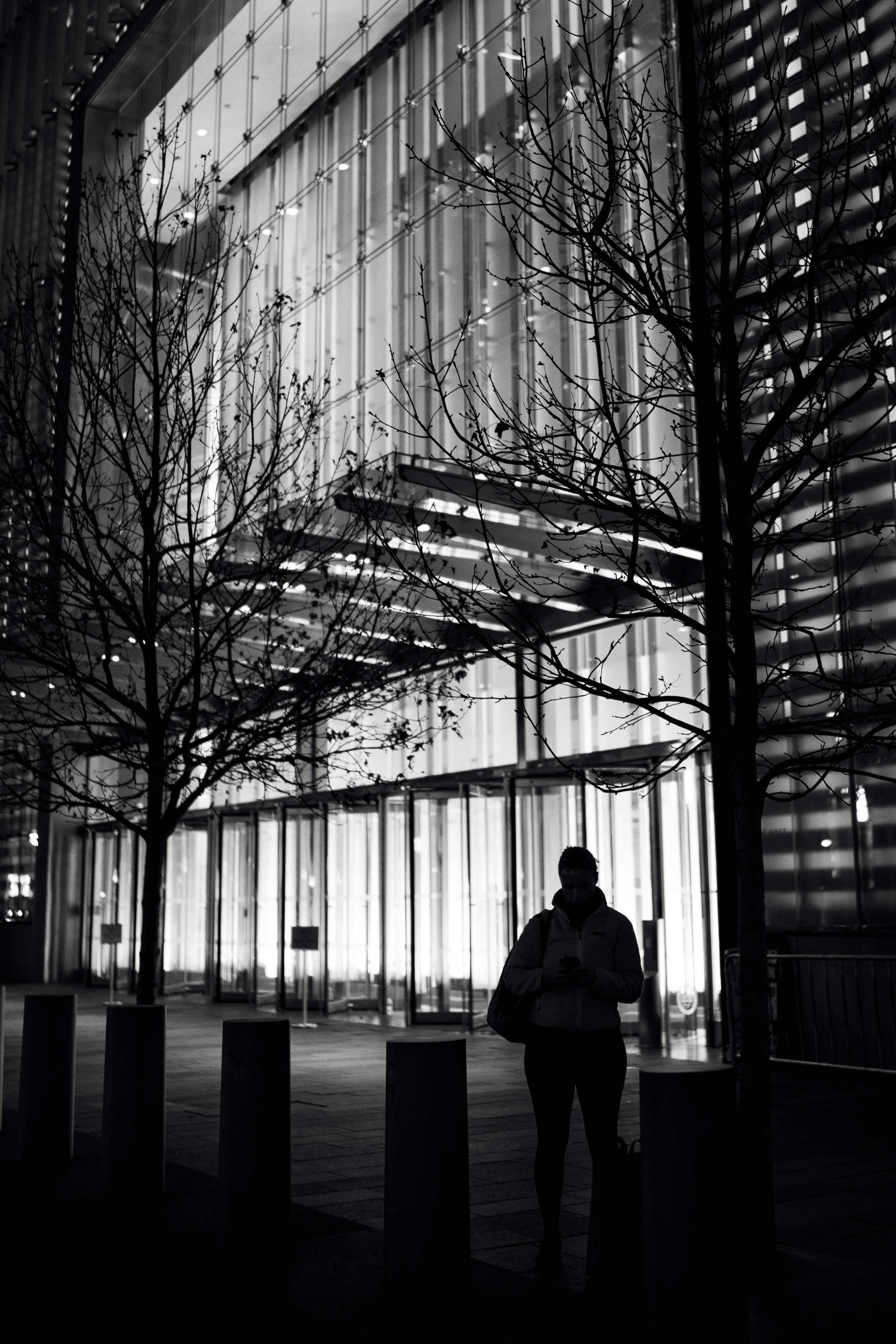 Perimeter Poles Photos, Download The BEST Free Perimeter Poles Stock ...