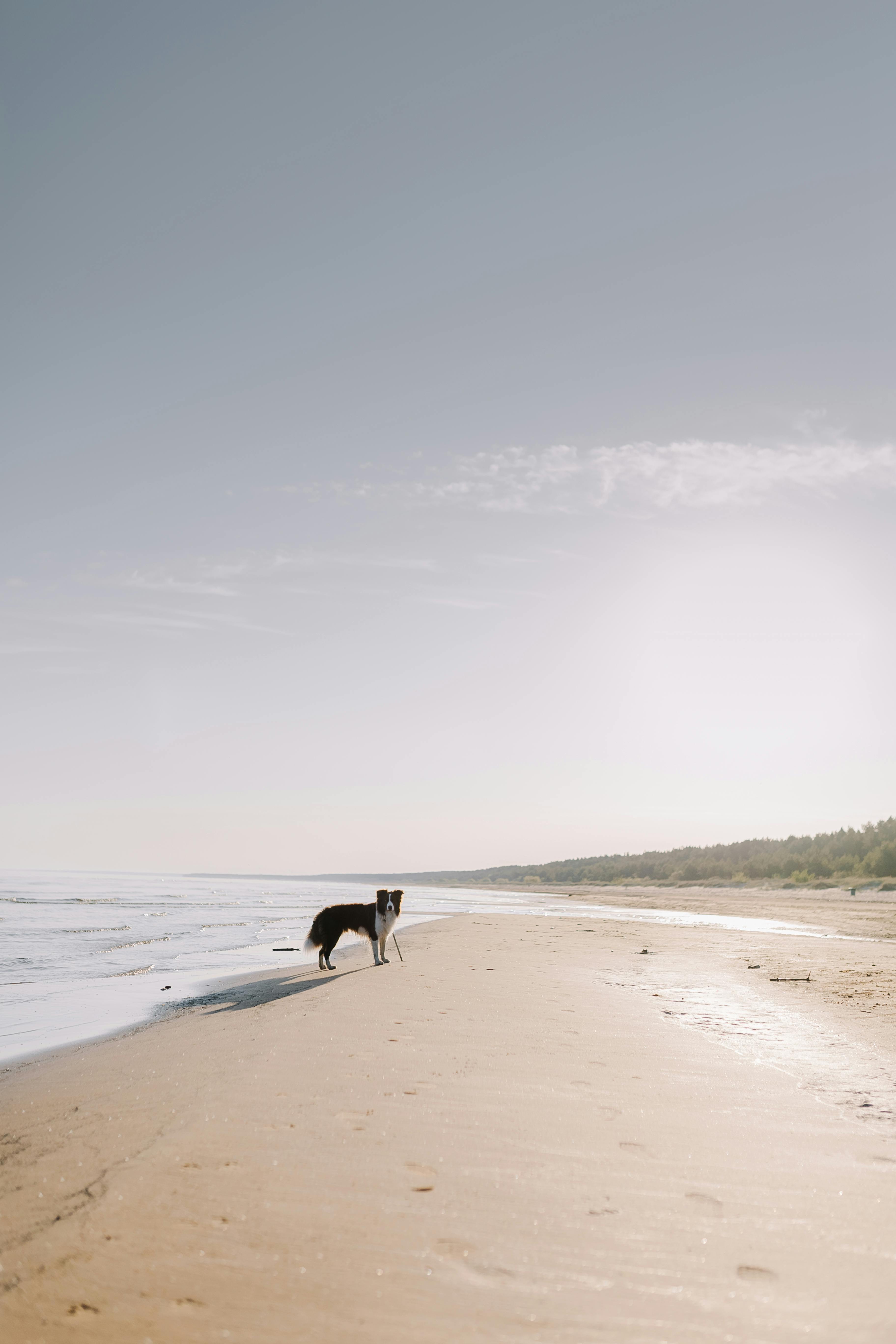 Indeed Manhattan Beach Photos, Download The BEST Free Indeed Manhattan ...