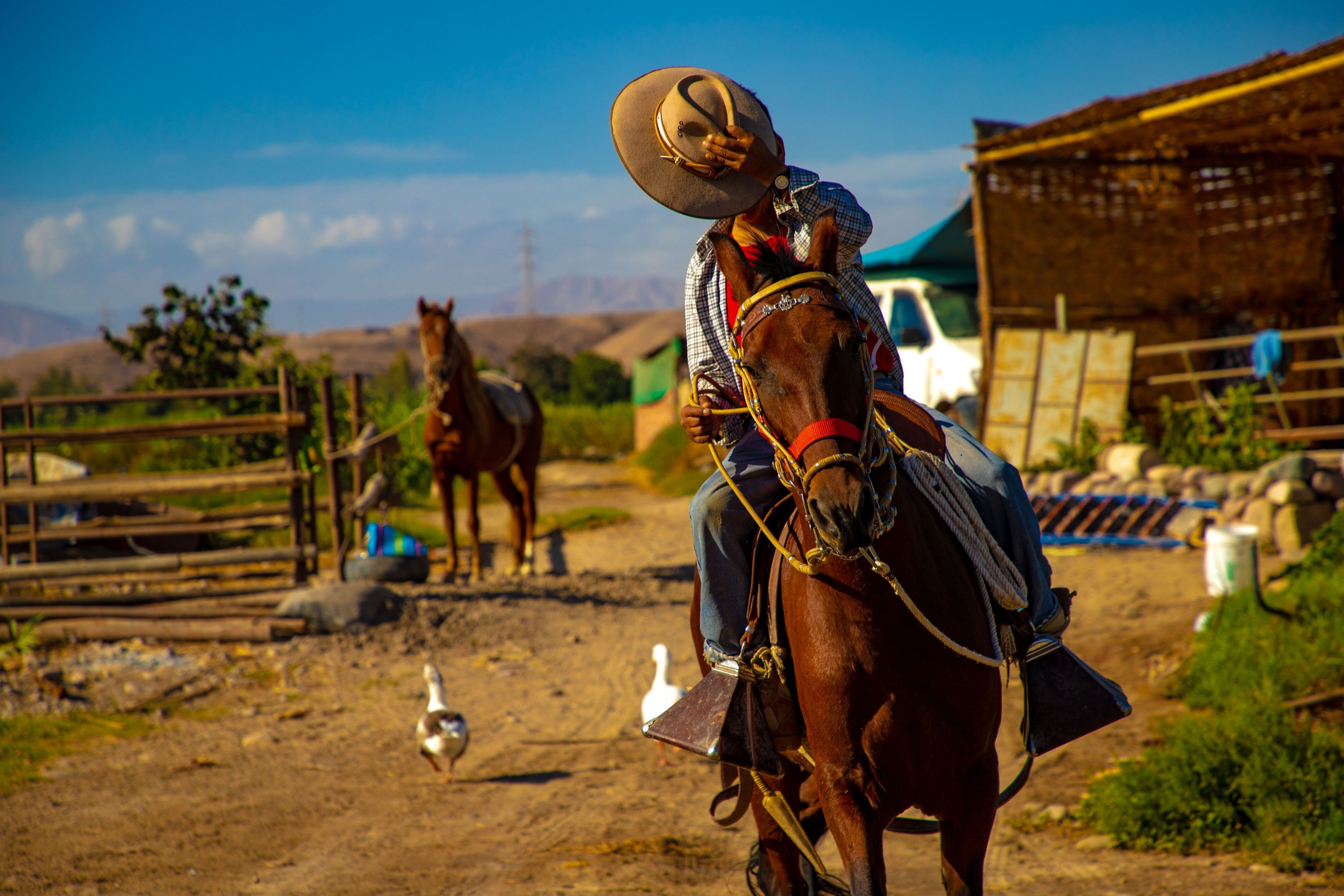 Cowboy Riding on Farm · Free Stock Photo