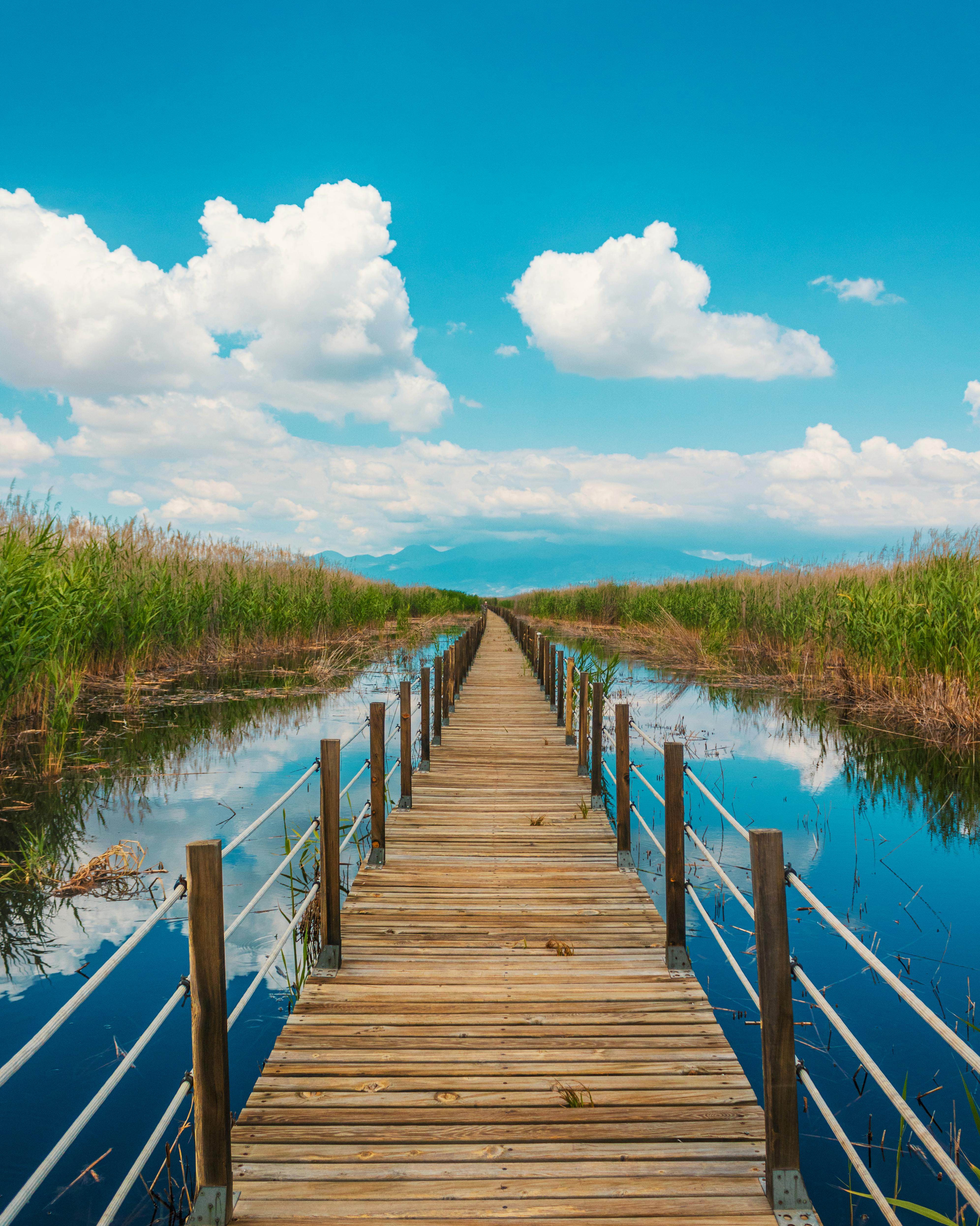 Landscape Photograph of Wooden Bridge Going Up the Mountain · Free ...