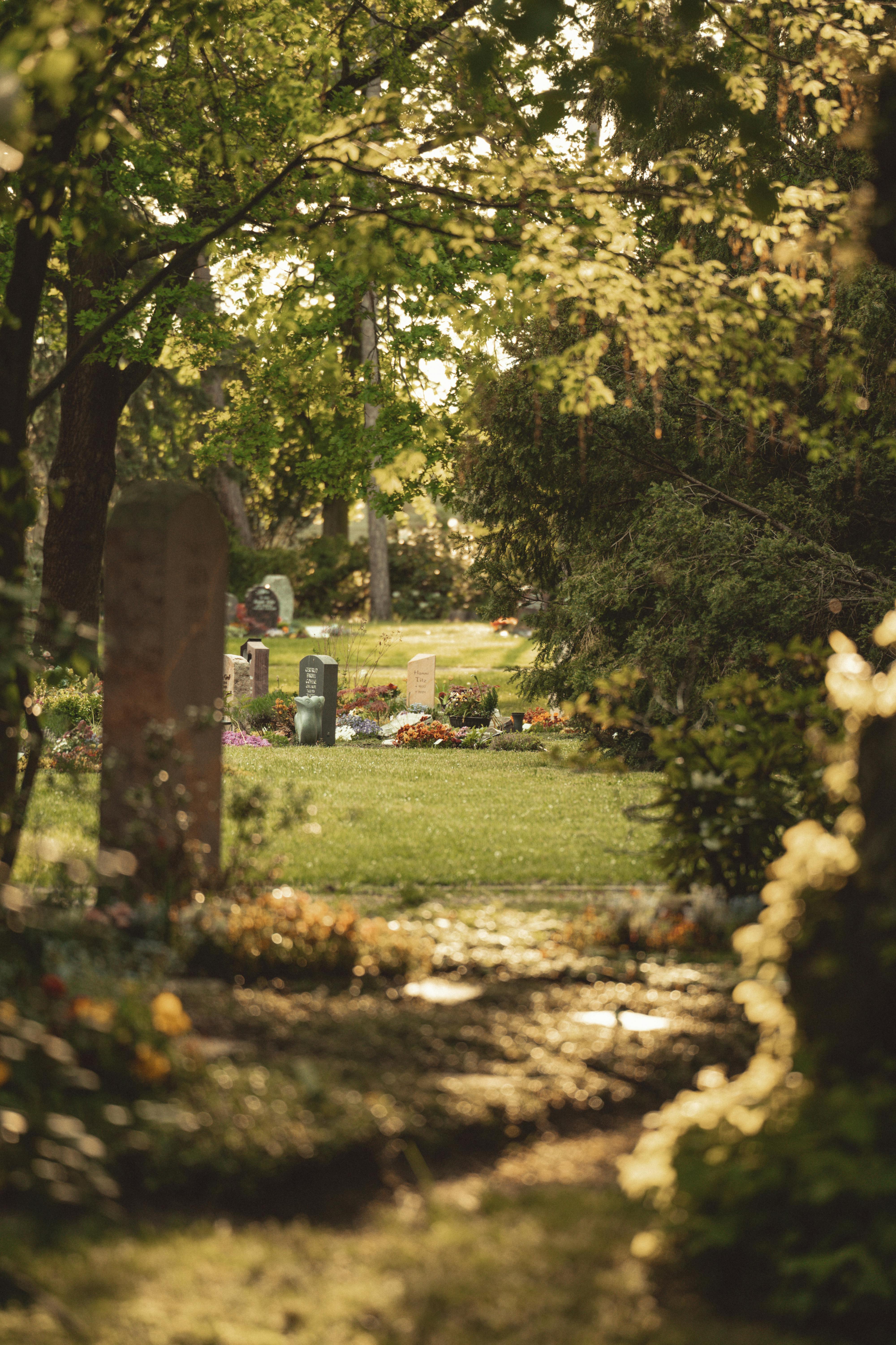 Cemetery in Sunny Park · Free Stock Photo