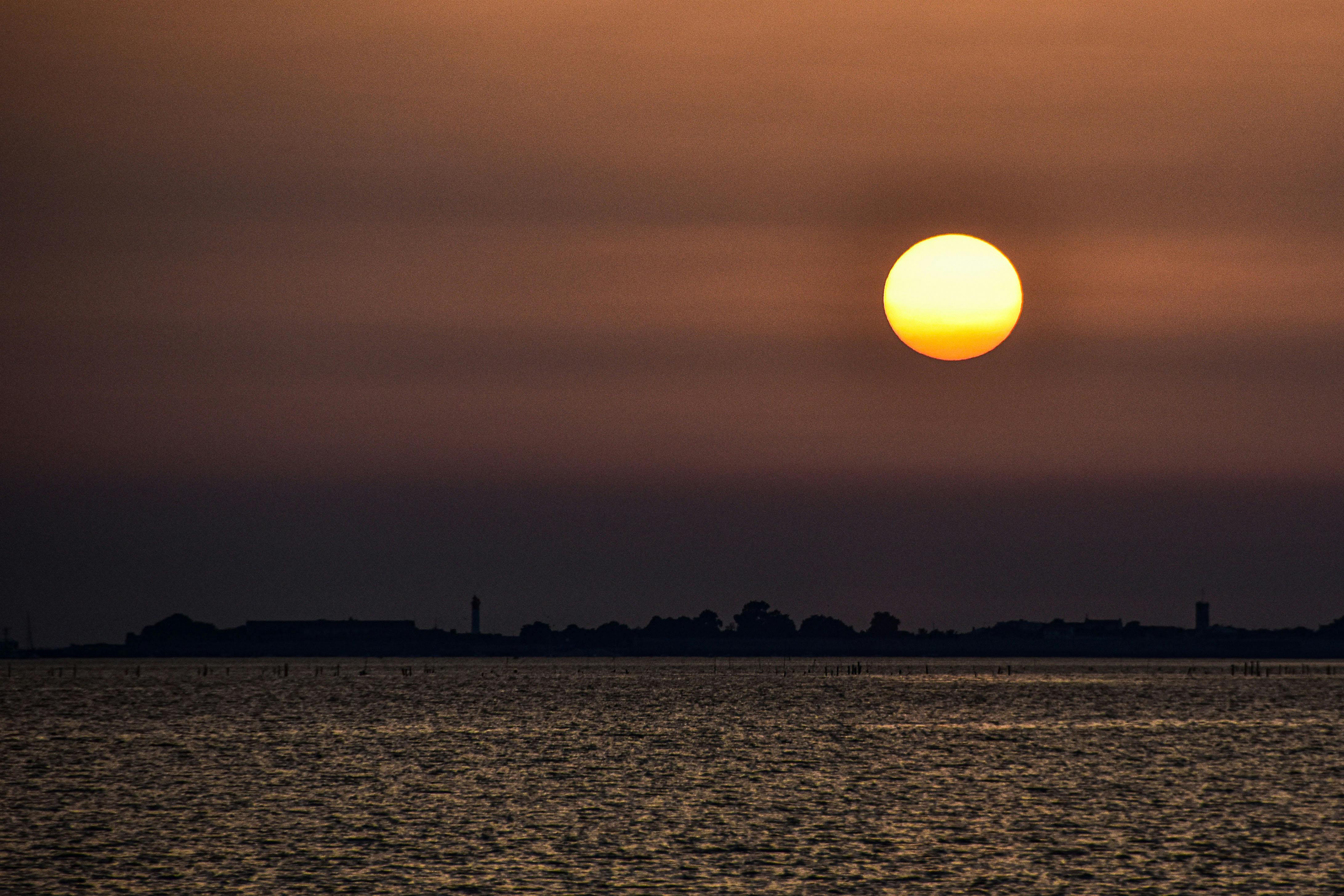 Sun 2d Logo Photos, Download The BEST Free Sun 2d Logo Stock Photos ...