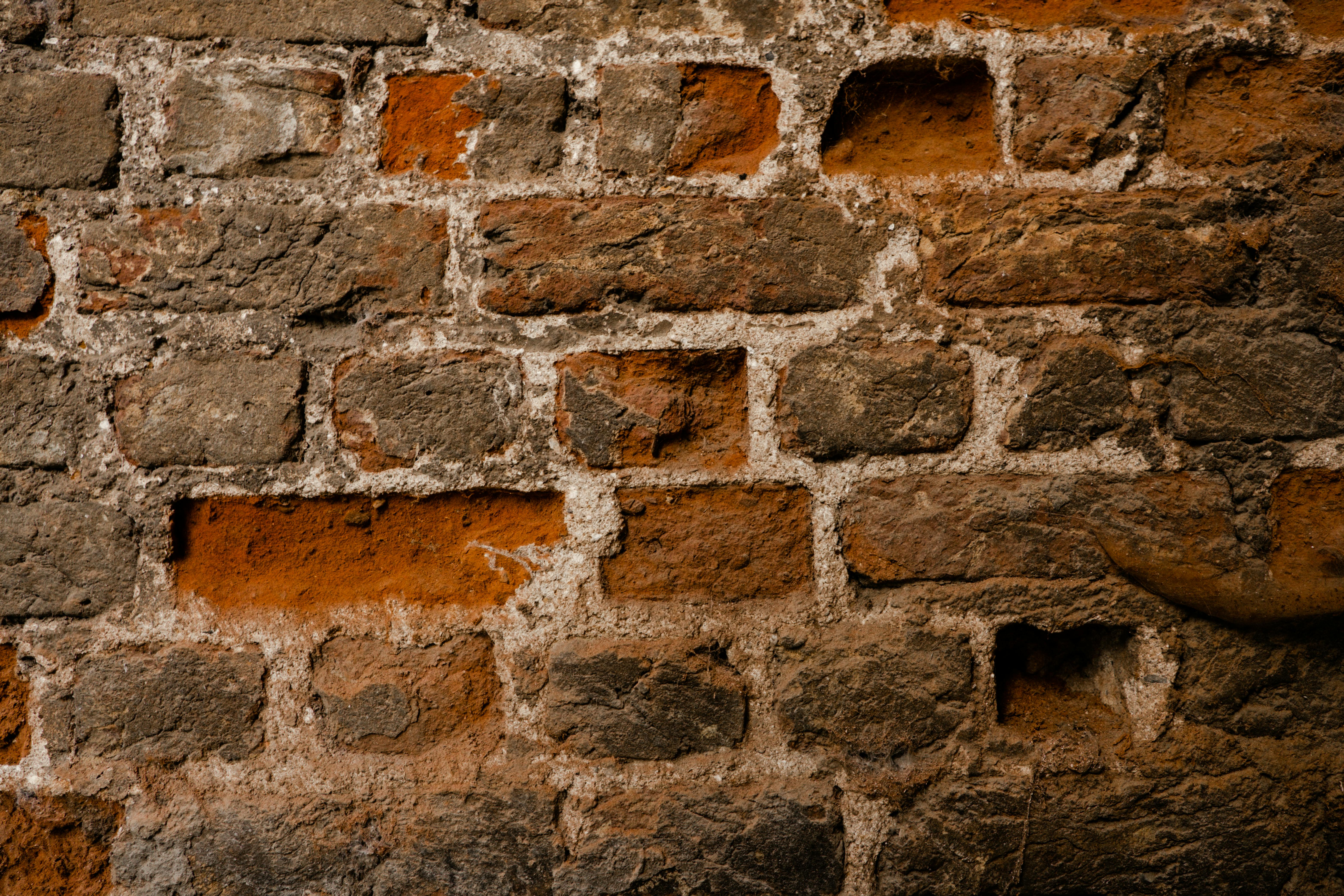 Bricks on Wall · Free Stock Photo