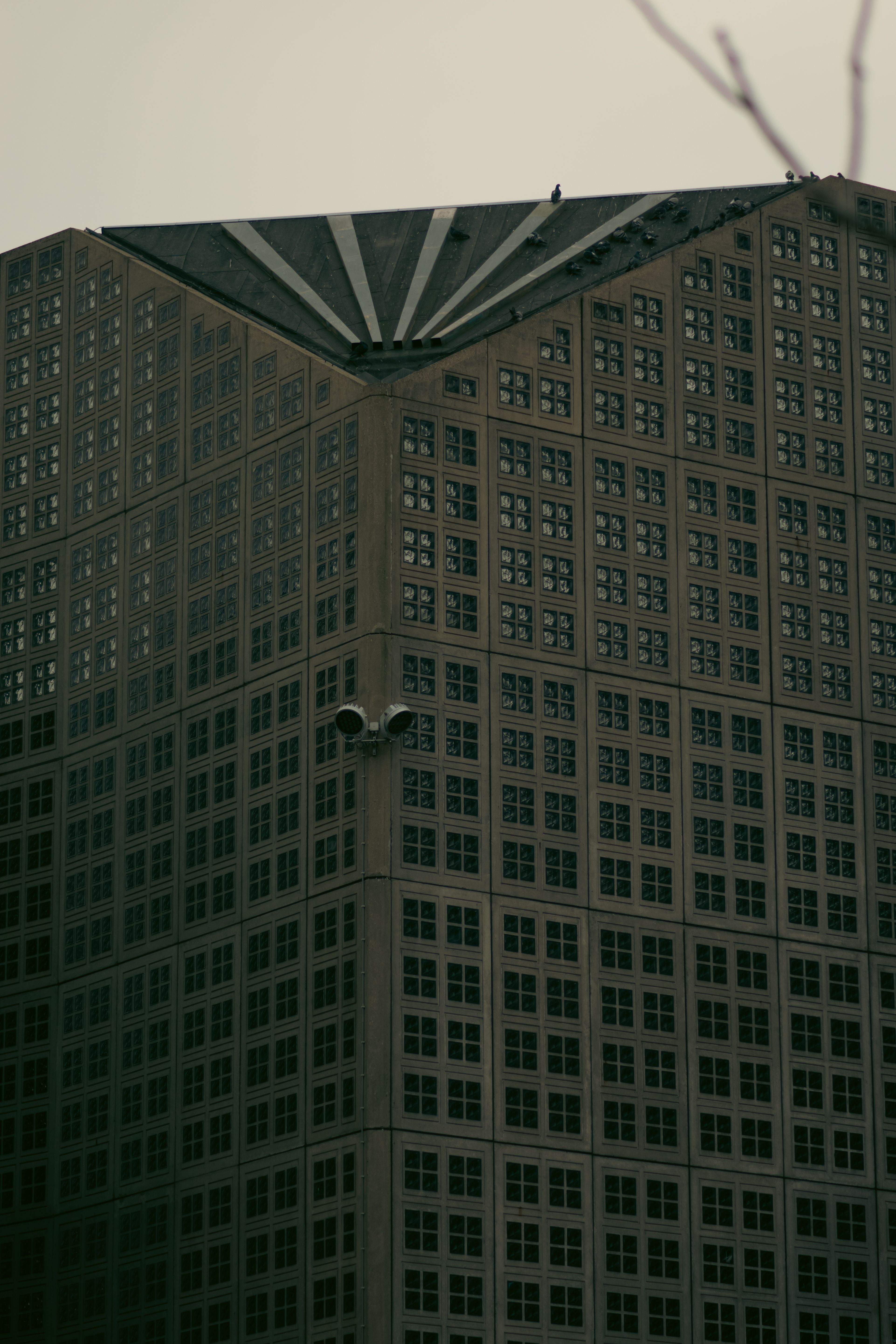 Corner of Office Building · Free Stock Photo