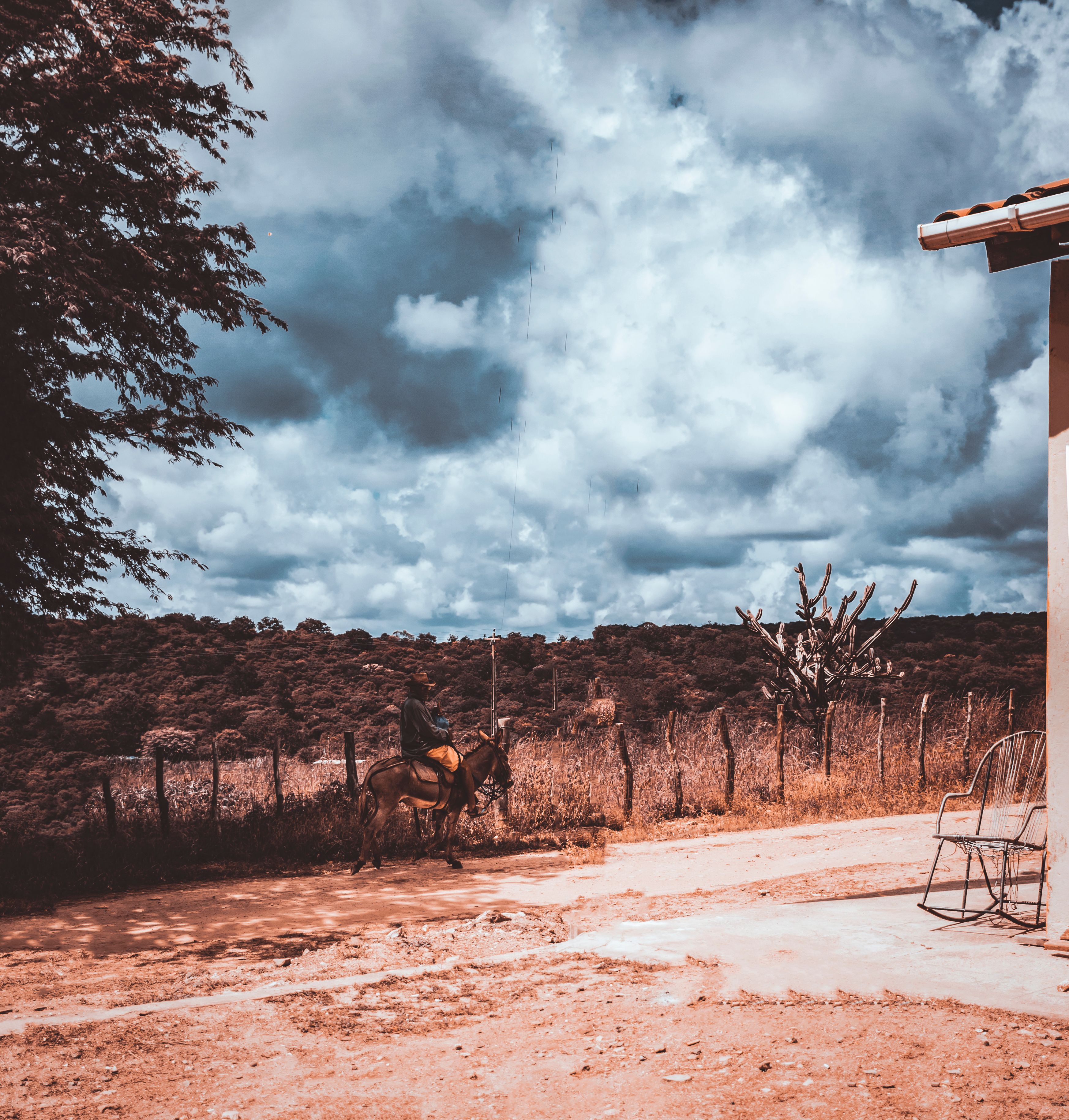 Marcelo Moreira - Photography