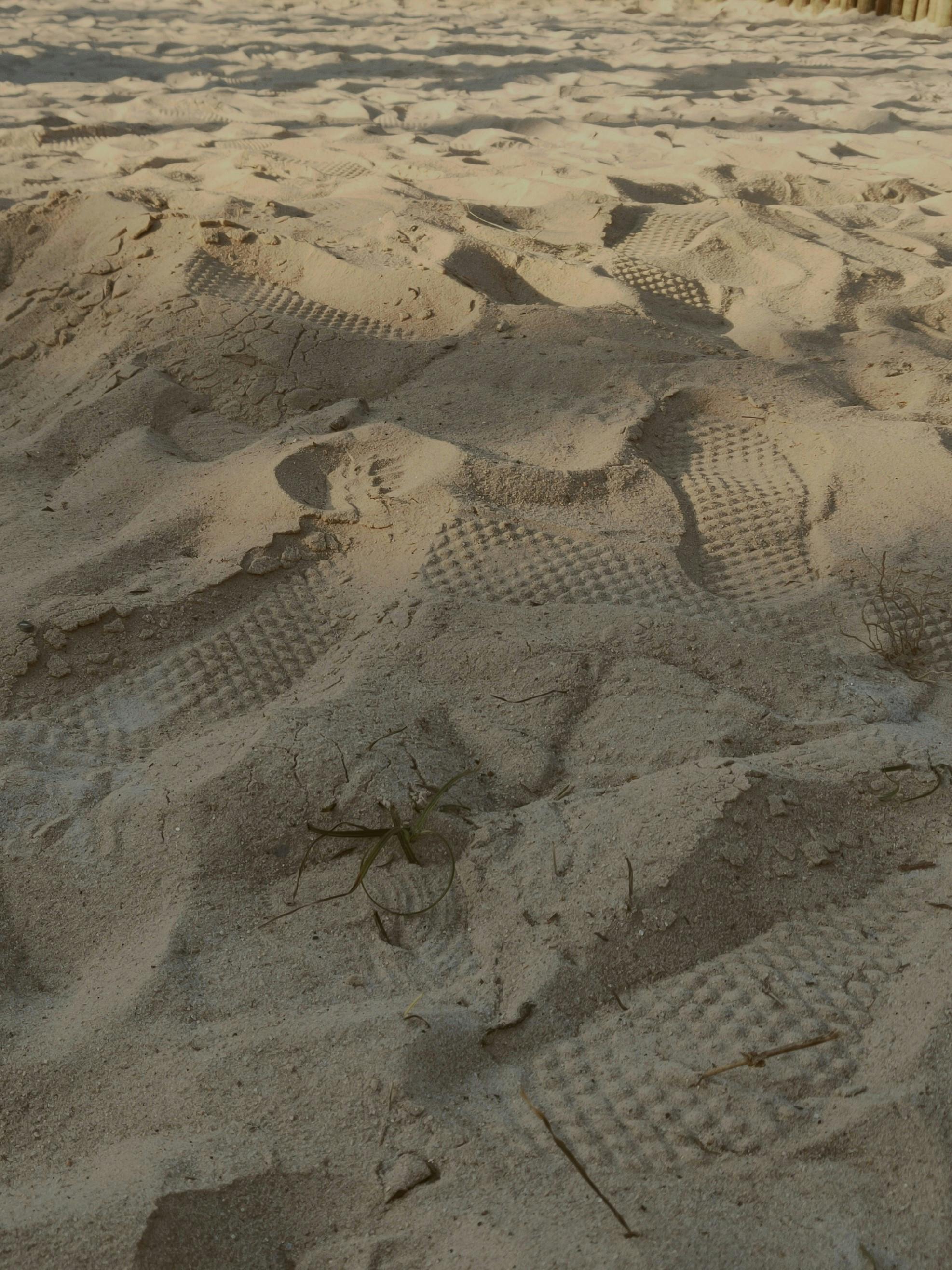 Daniel Bertoli - Fotografía