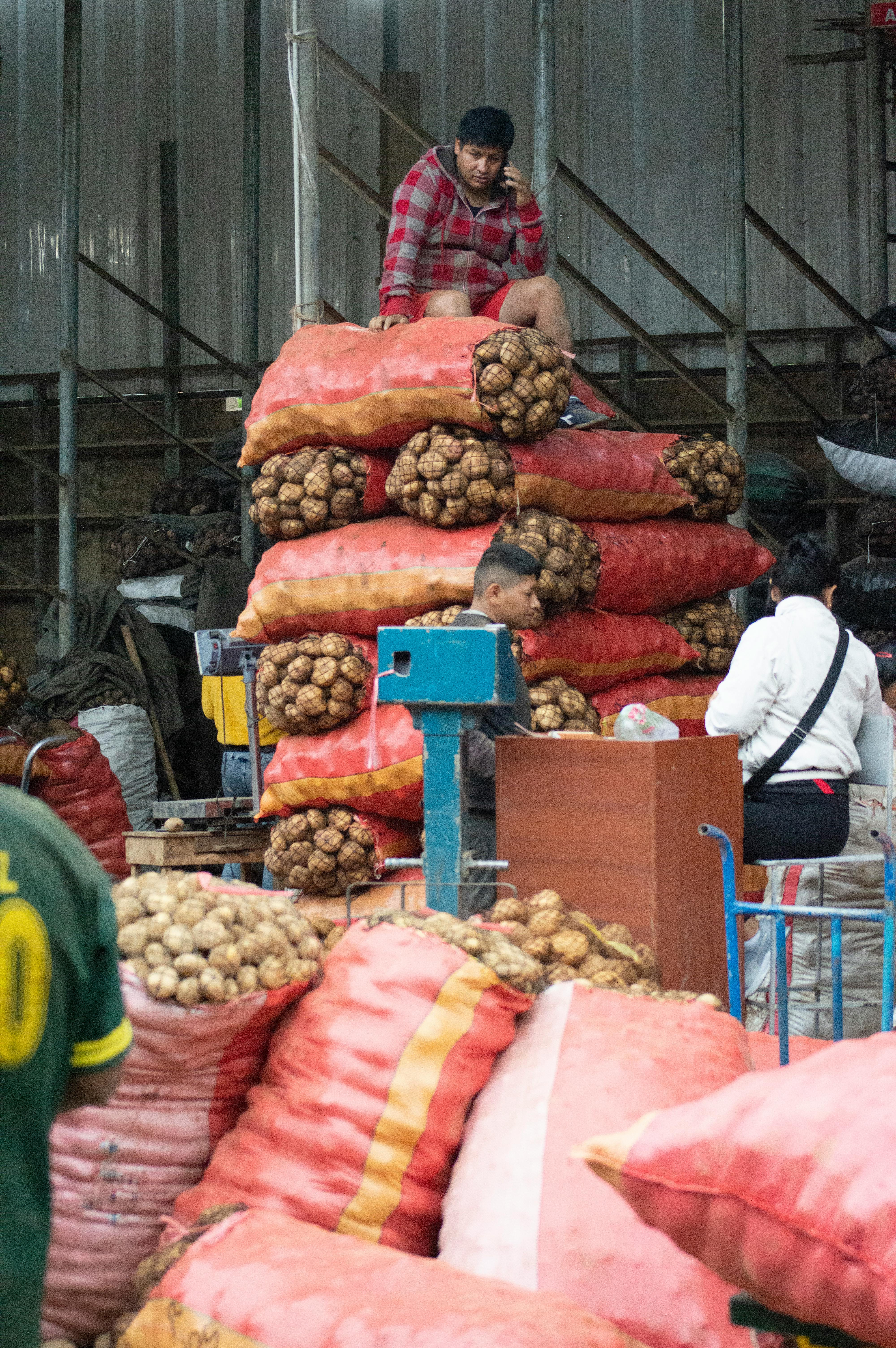 Man Sitting on Top of Sacks of Potatoes · Free Stock Photo