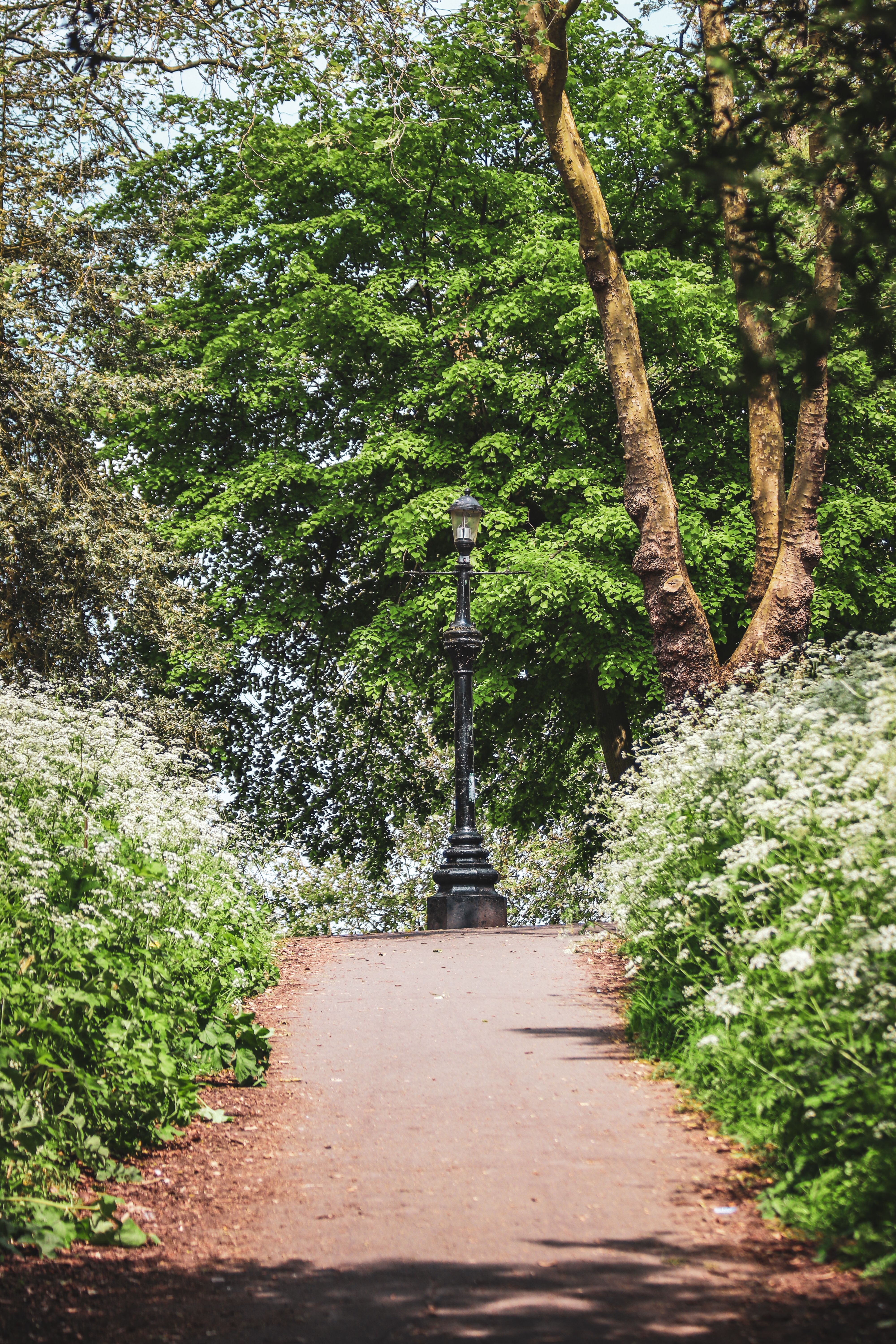 A path with a lamp post and flowers · Free Stock Photo