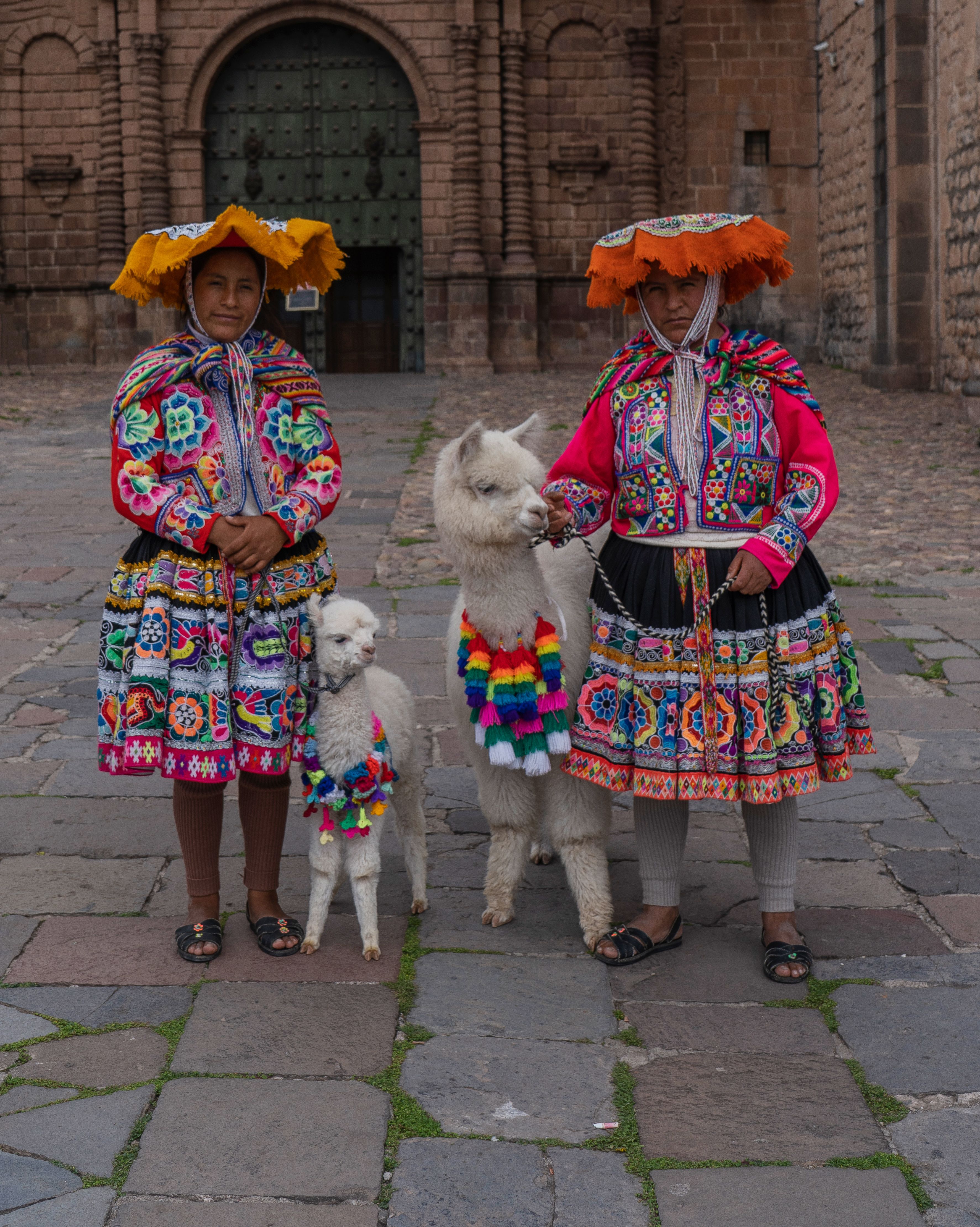 Woman and Man in Traditional Clothing and with Llama and Cria · Free ...