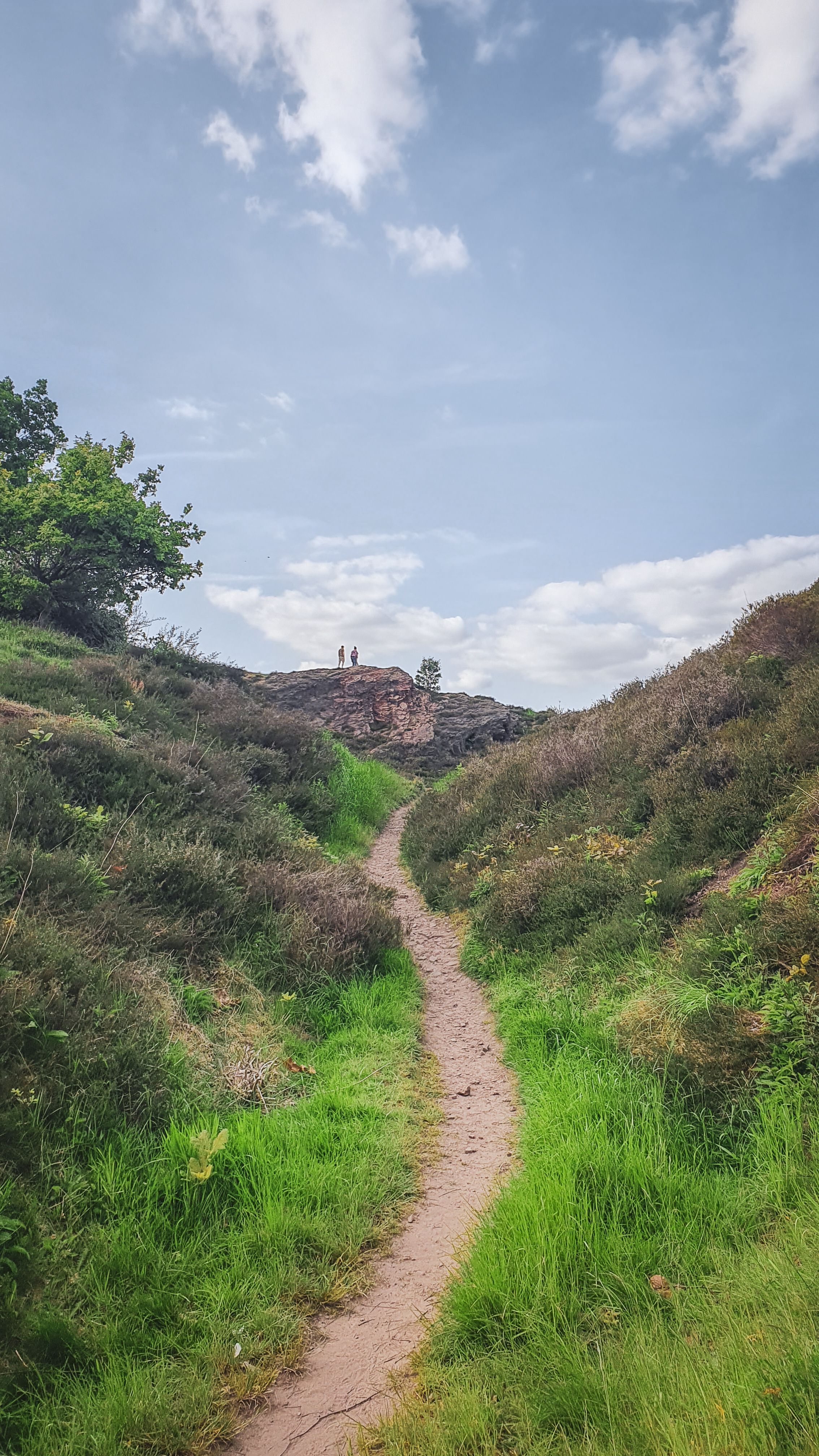 A path leading up to a hill with grass and trees · Free Stock Photo
