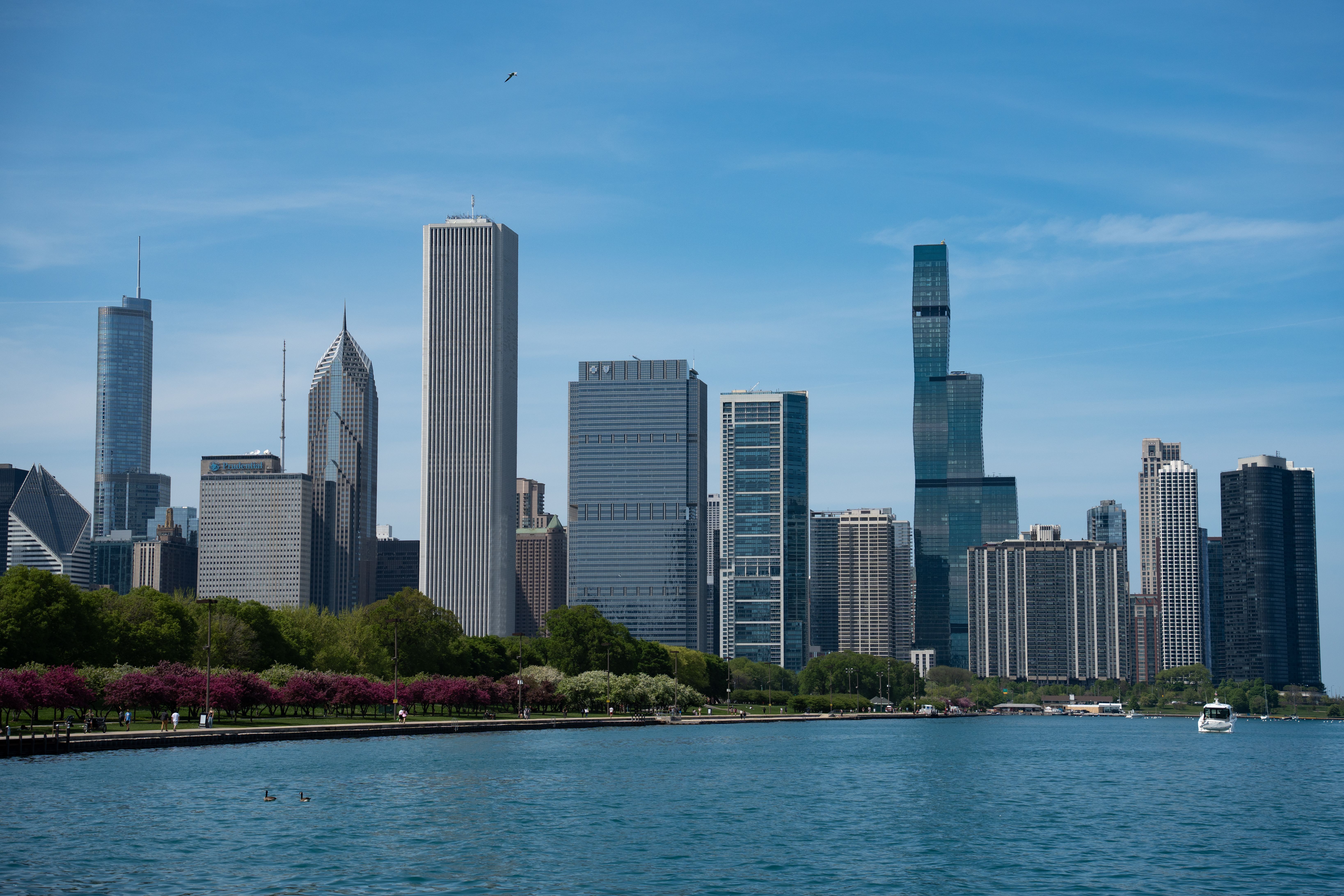 Cityscape of Chicago · Free Stock Photo
