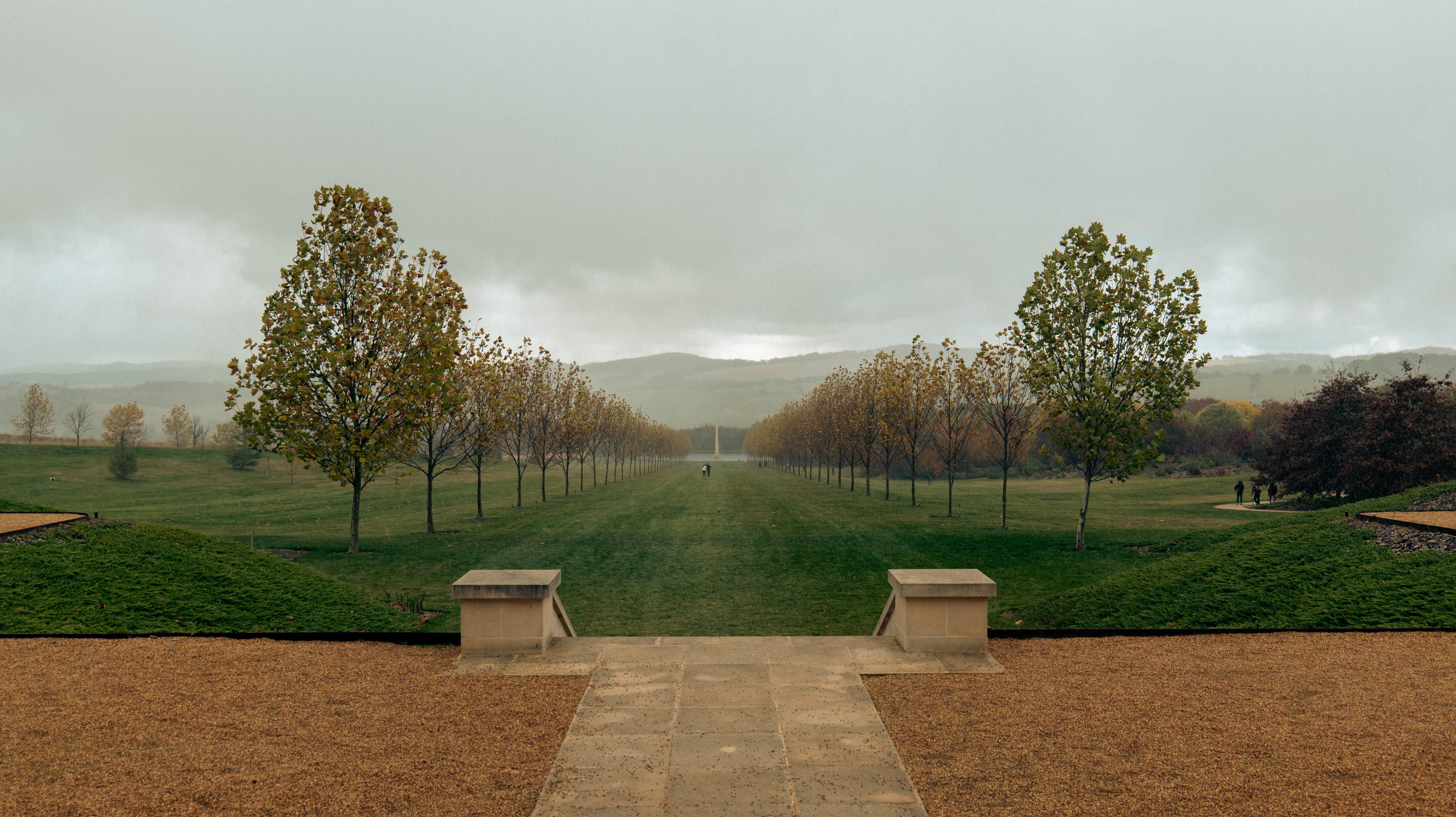 Overcast over Trees on Grassland behind Stairs · Free Stock Photo