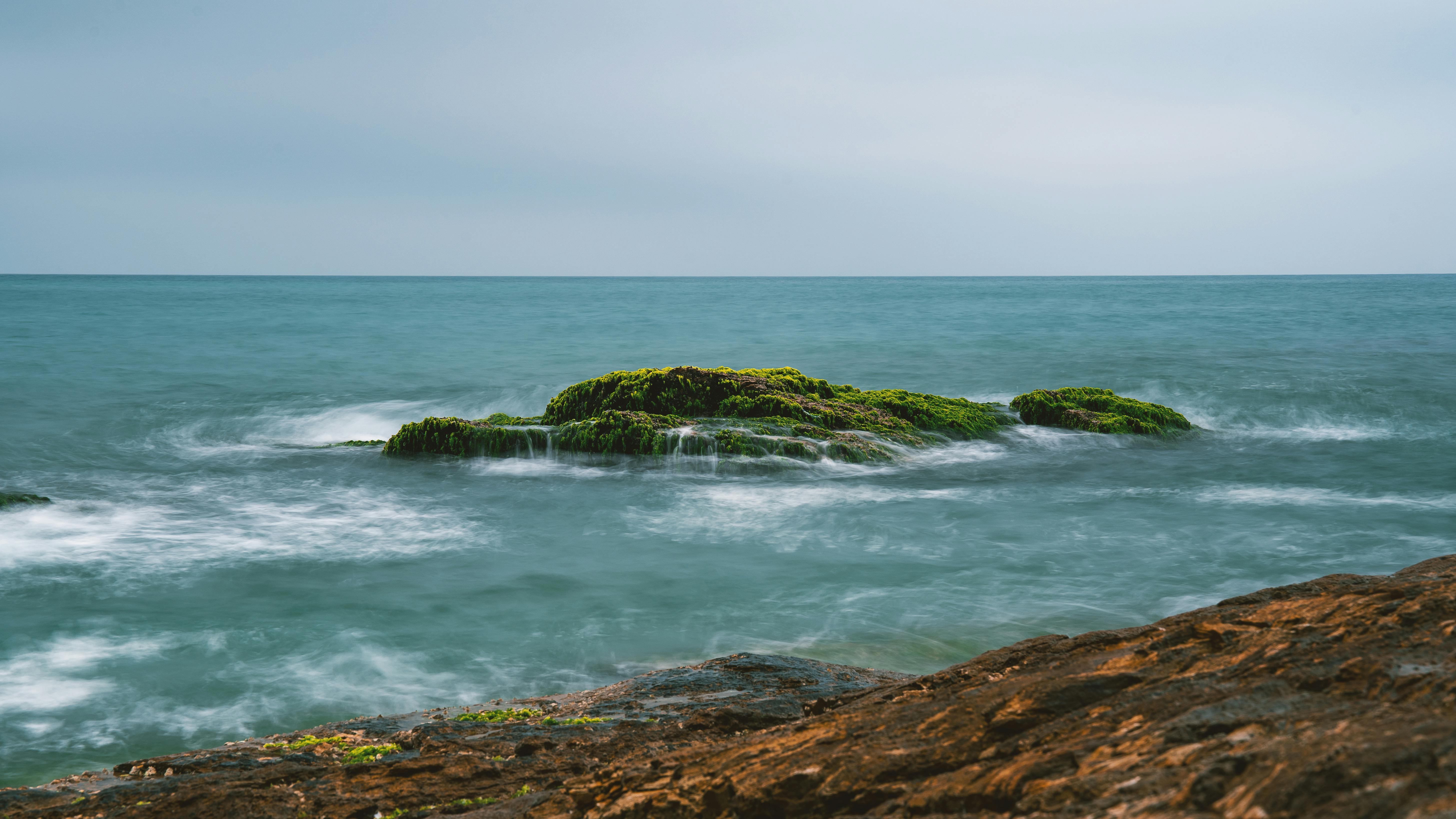 Moss on Rocks on Sea Shore · Free Stock Photo
