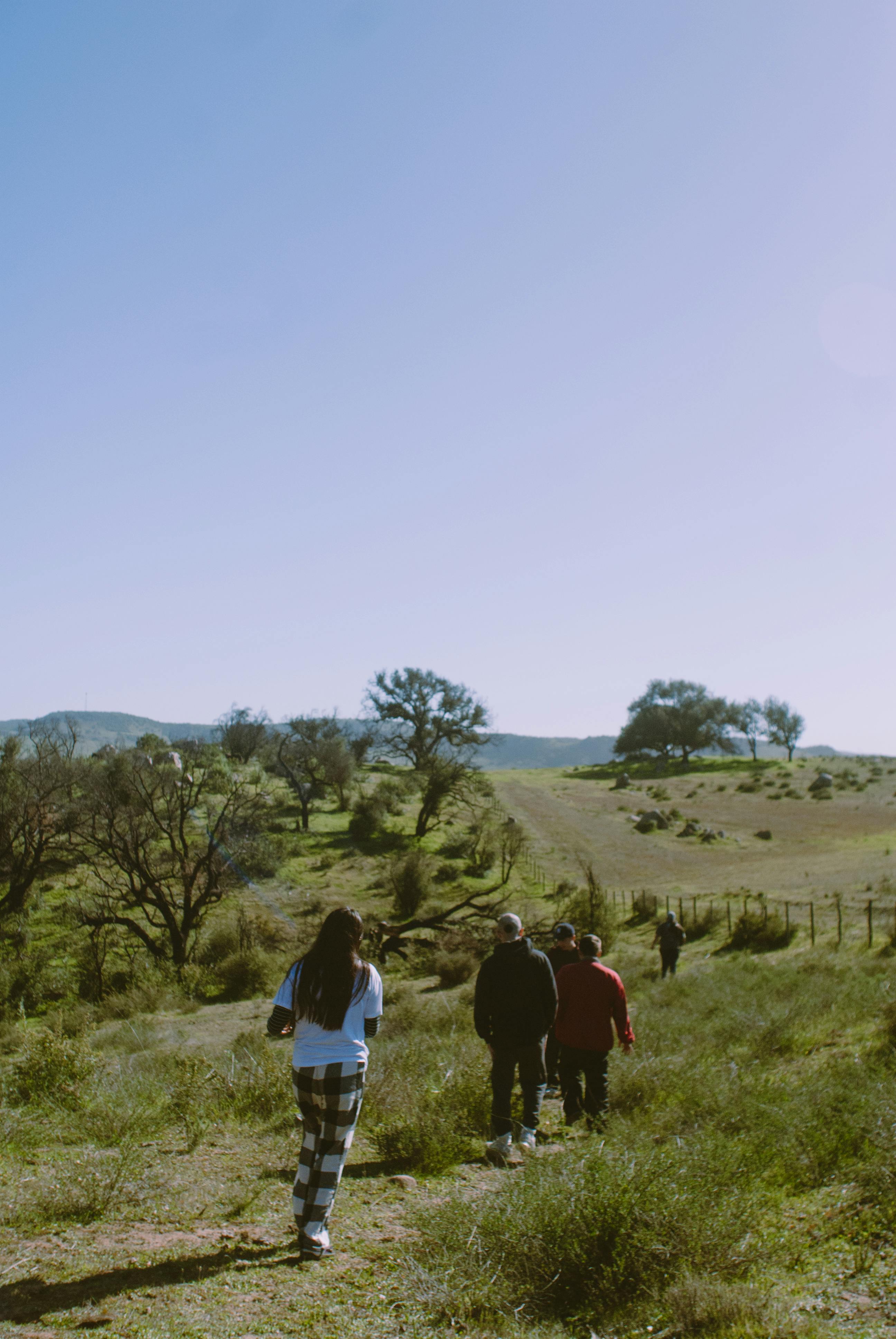 People Walking Down Trail · Free Stock Photo