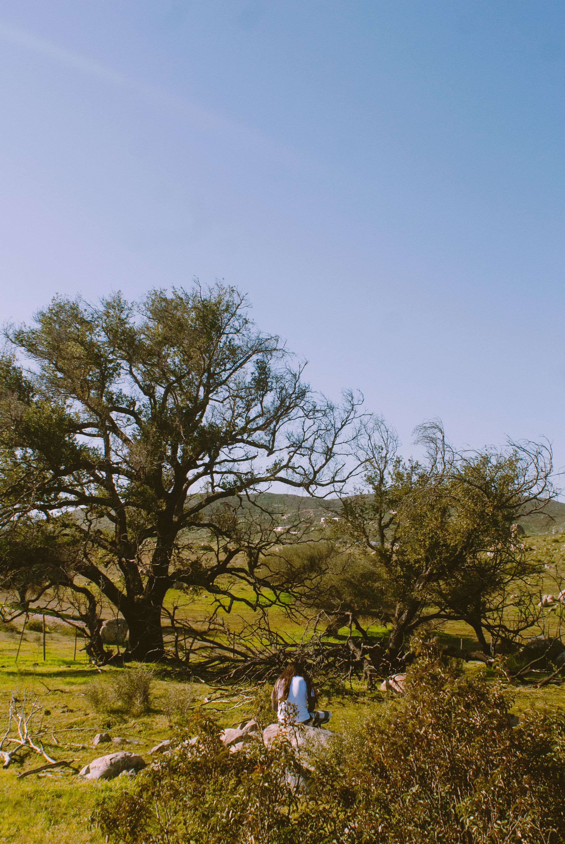 Person Sitting on Rocks on Meadow in Countryside · Free Stock Photo