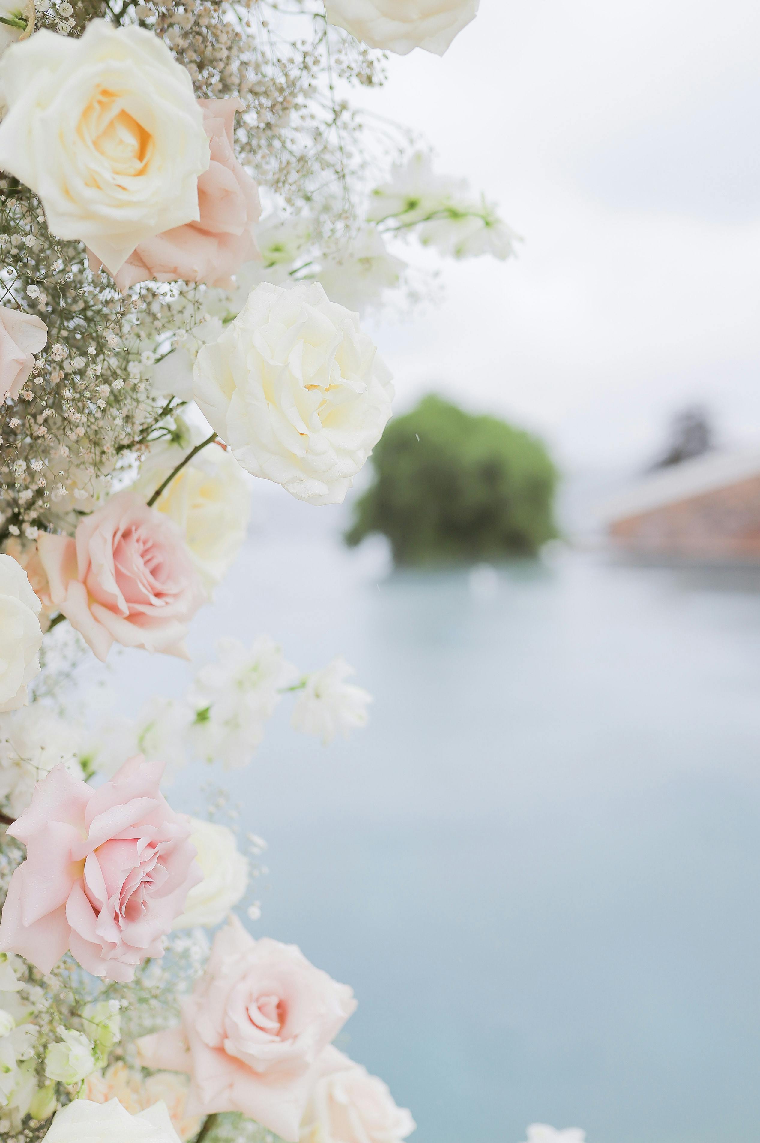 Bridal Roses on Seashore · Free Stock Photo