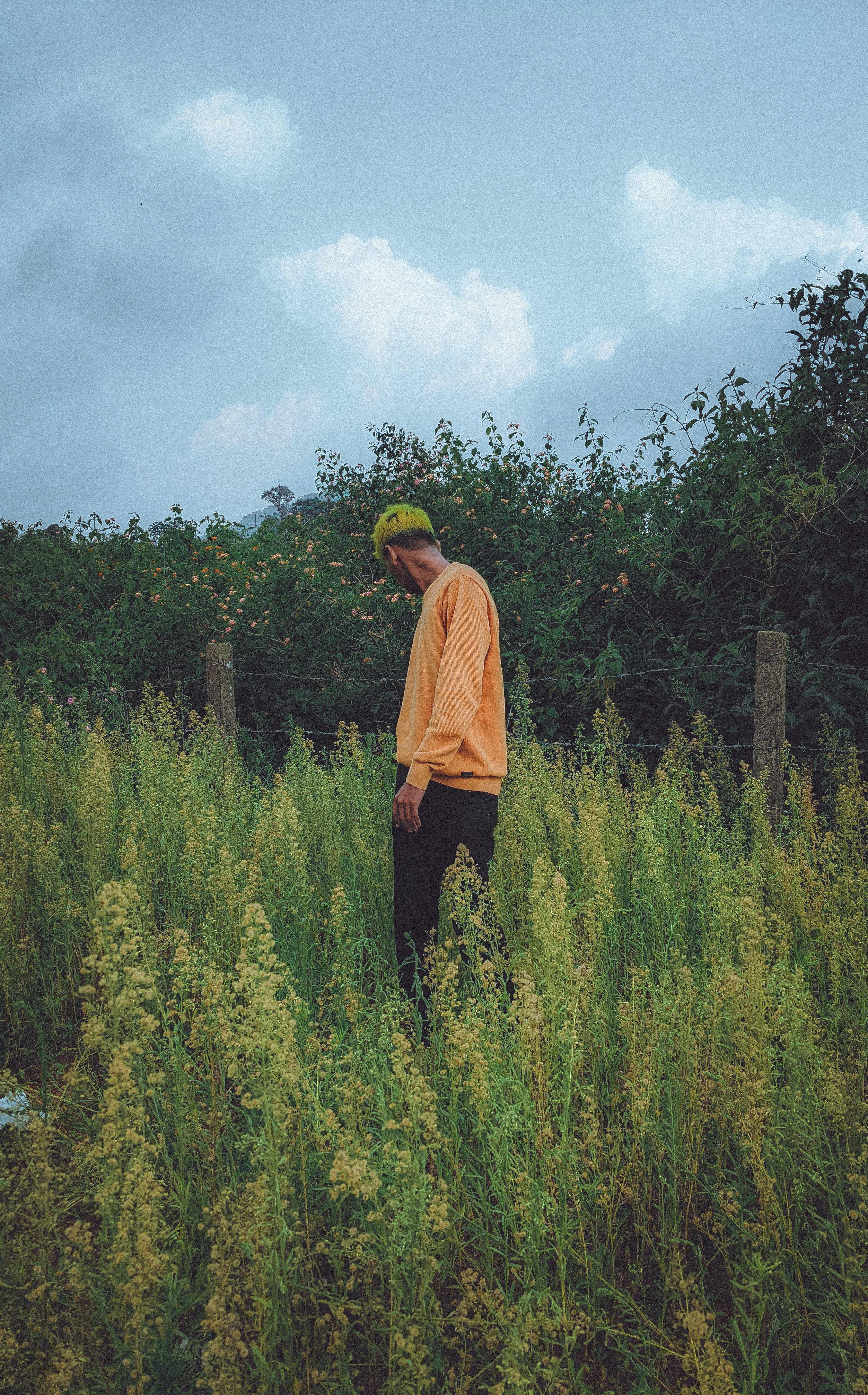 Man Standing in the Field · Free Stock Photo