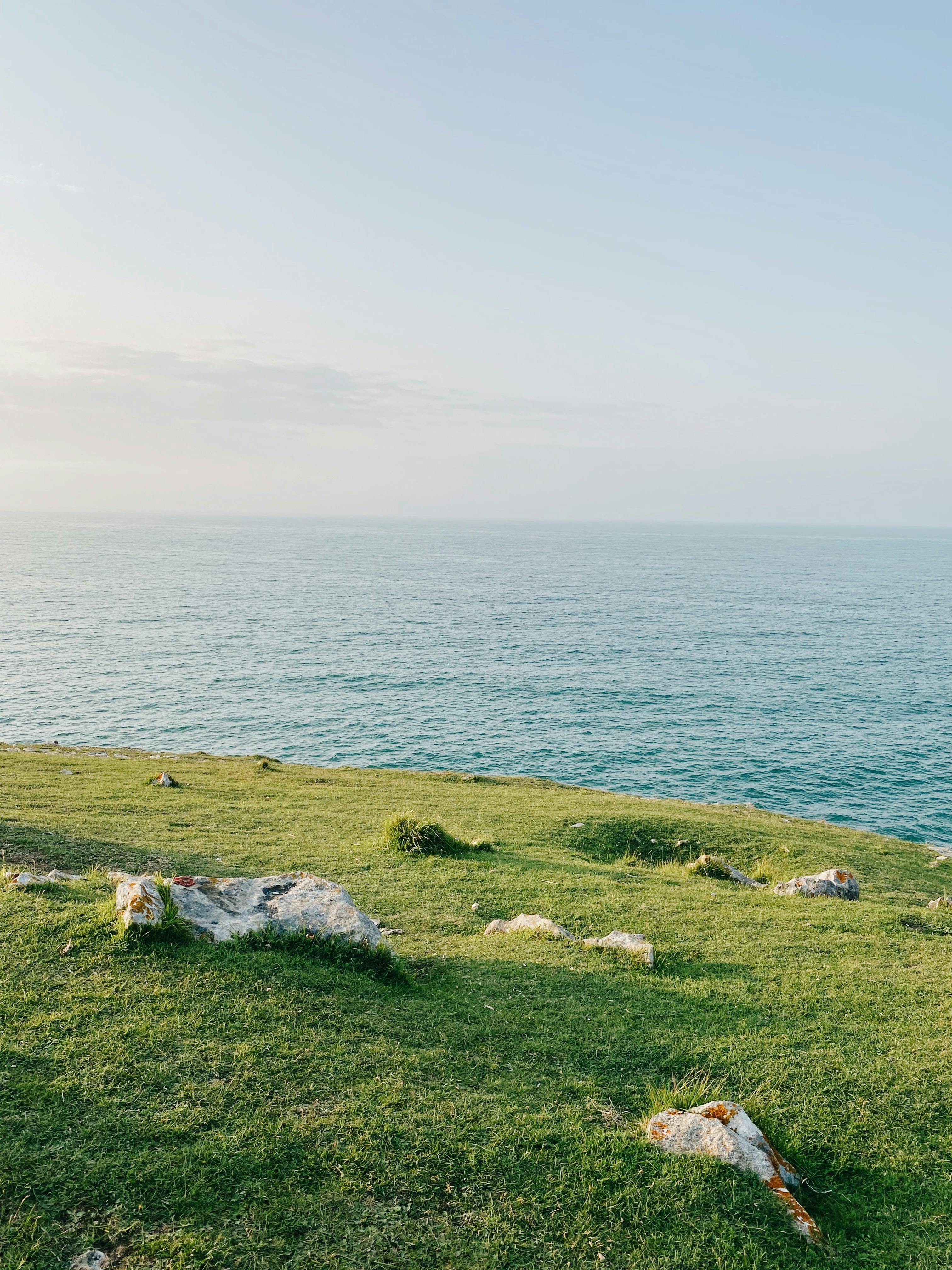 Artificial Grass Open Space Photos, Download The BEST Free Artificial ...