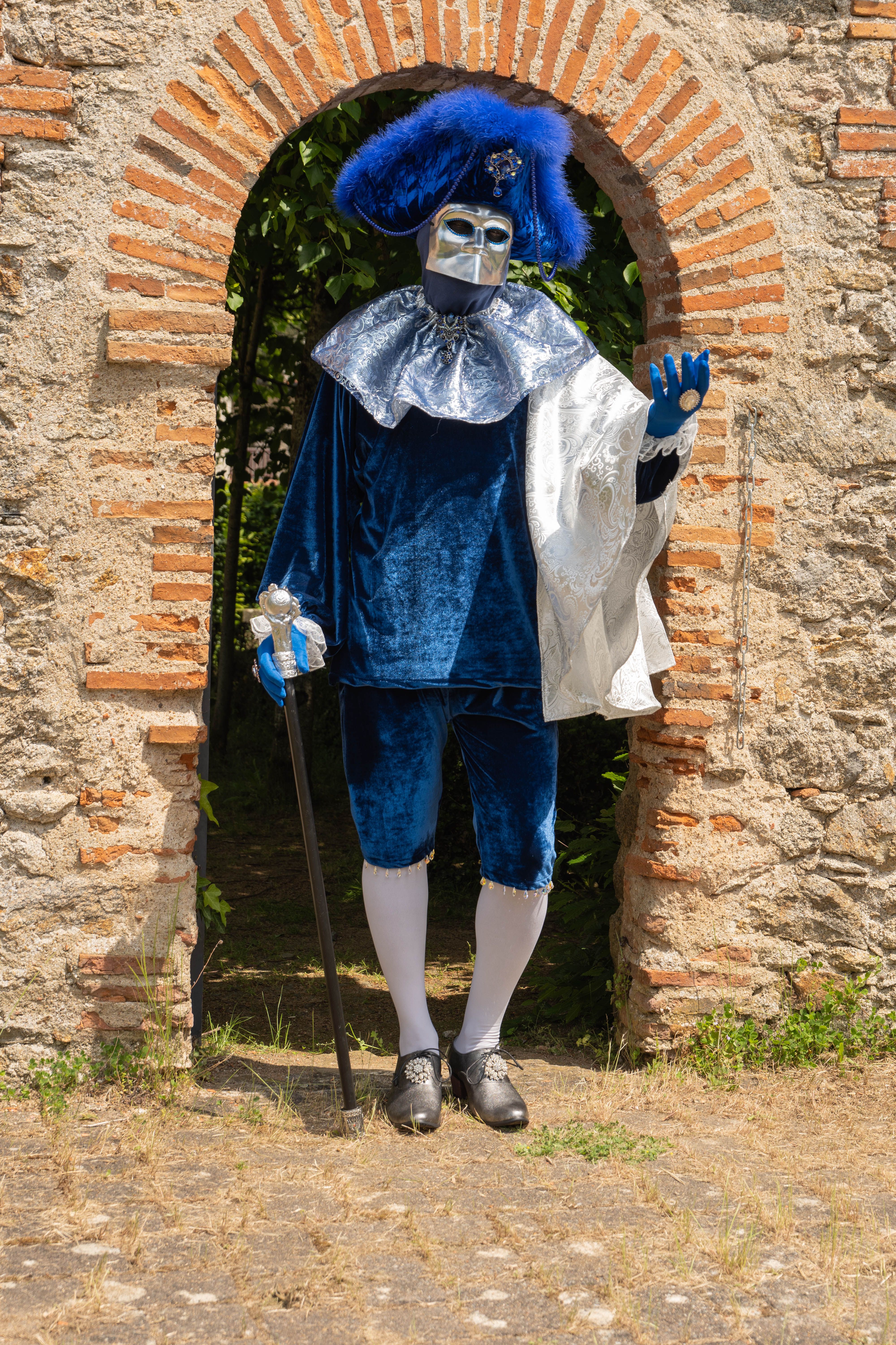 Man in Blue Carnival Costume · Free Stock Photo