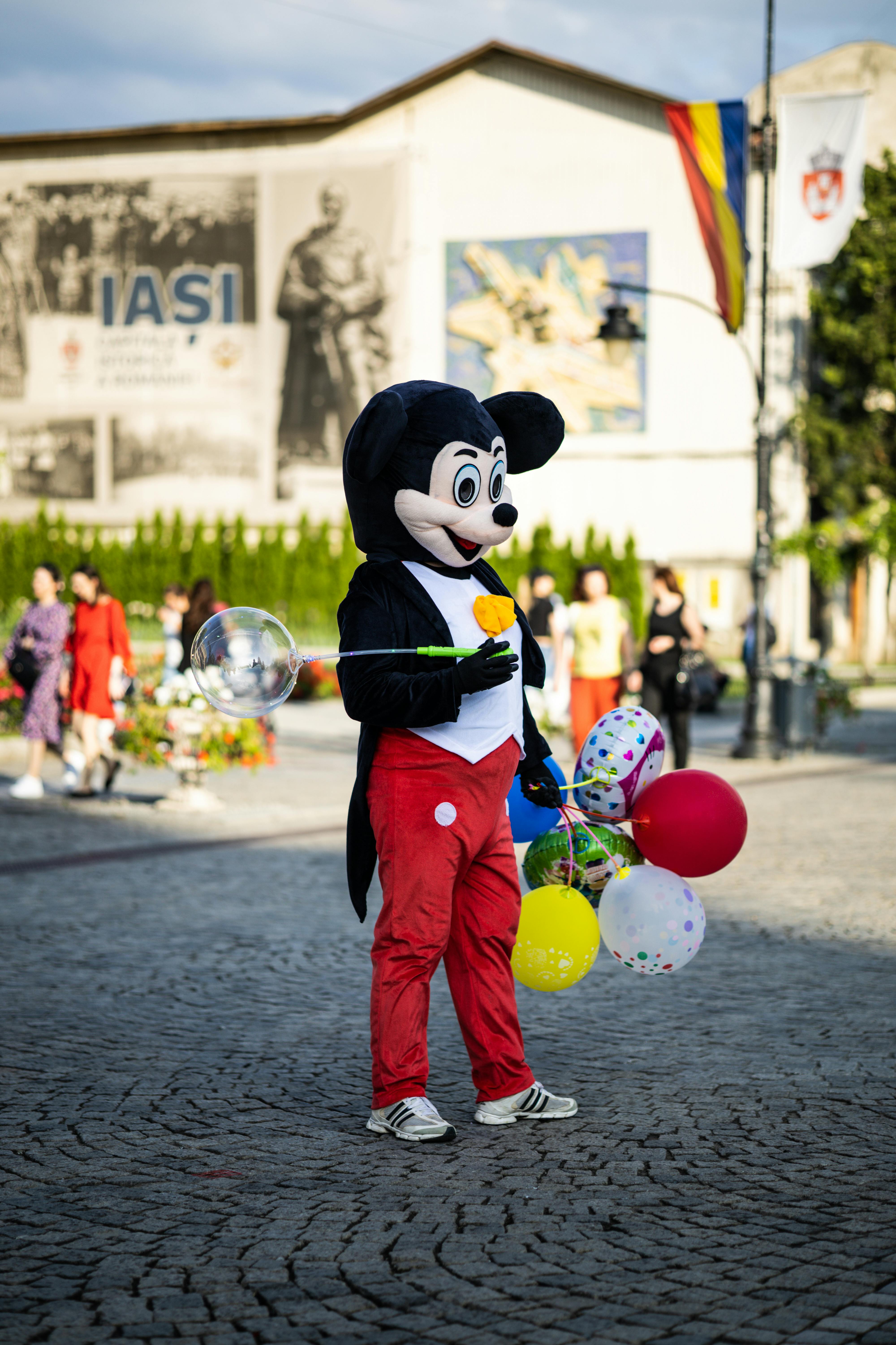 Animator Photos, Download The BEST Free Animator Stock Photos & HD Images