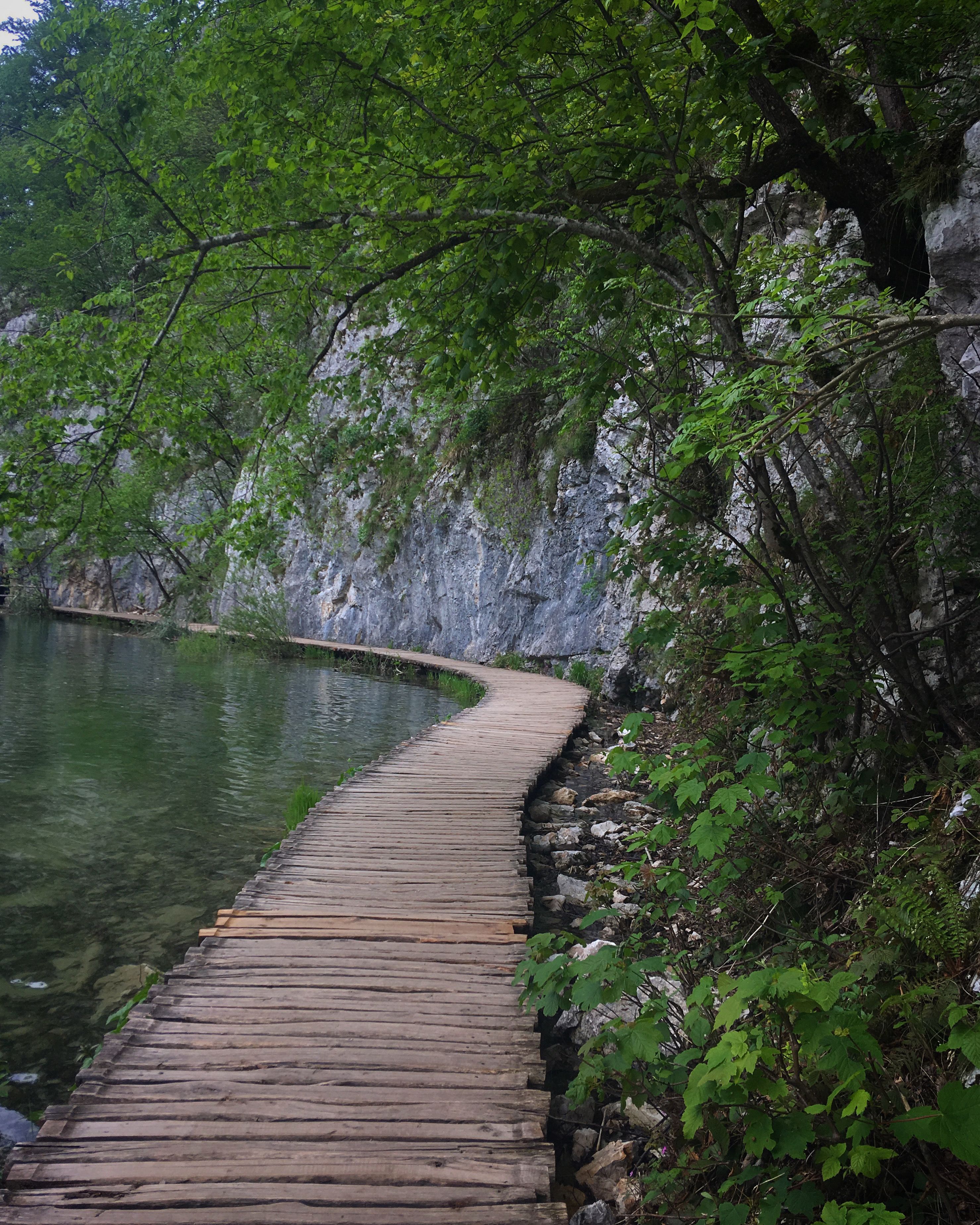 Wooden Boardwalk on Lakeshore in Deep Forest · Free Stock Photo