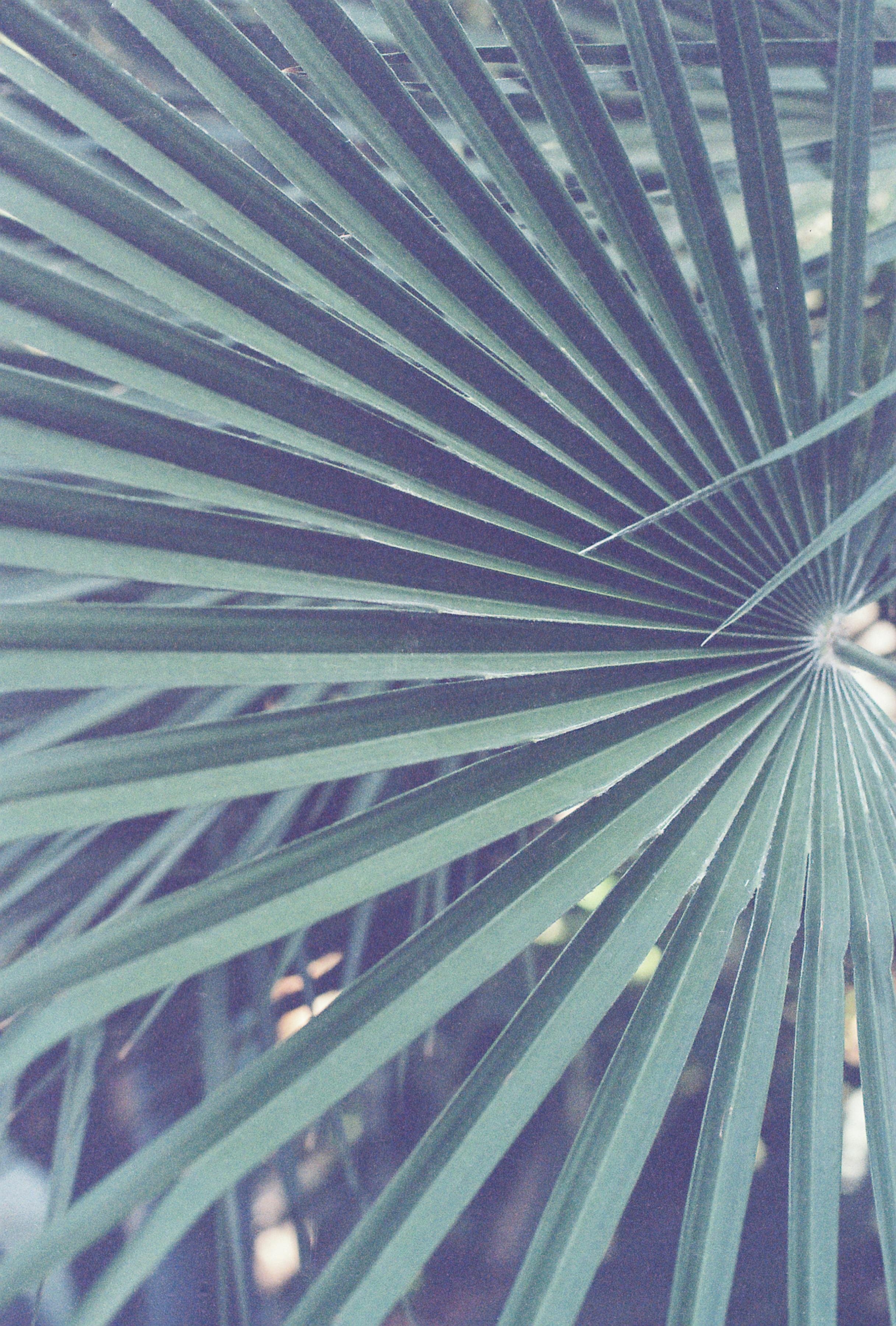 Brightcolorful Destop Wallpaper Photos, Download The BEST Free ...