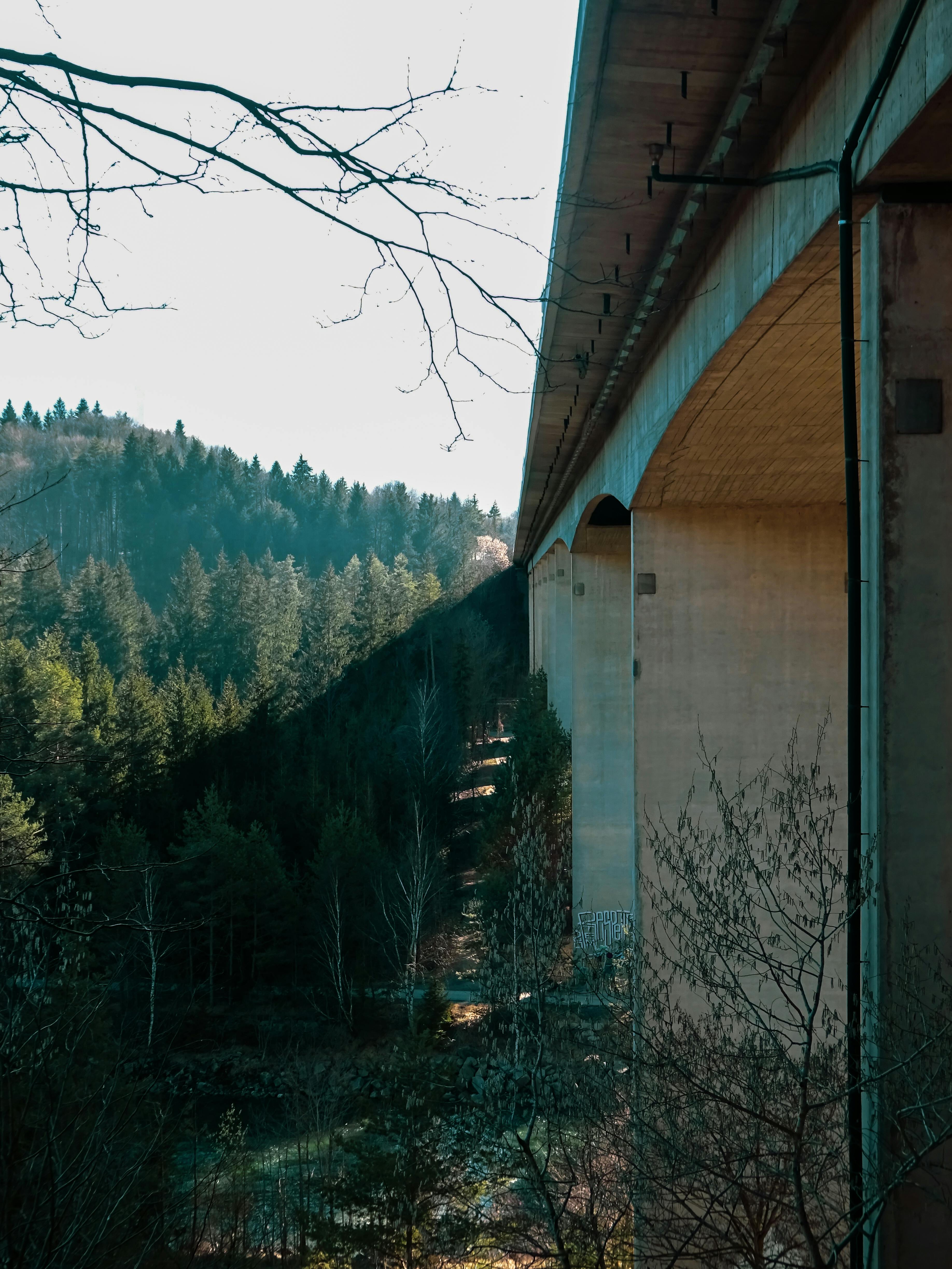 View of a Viaduct from the Side · Free Stock Photo