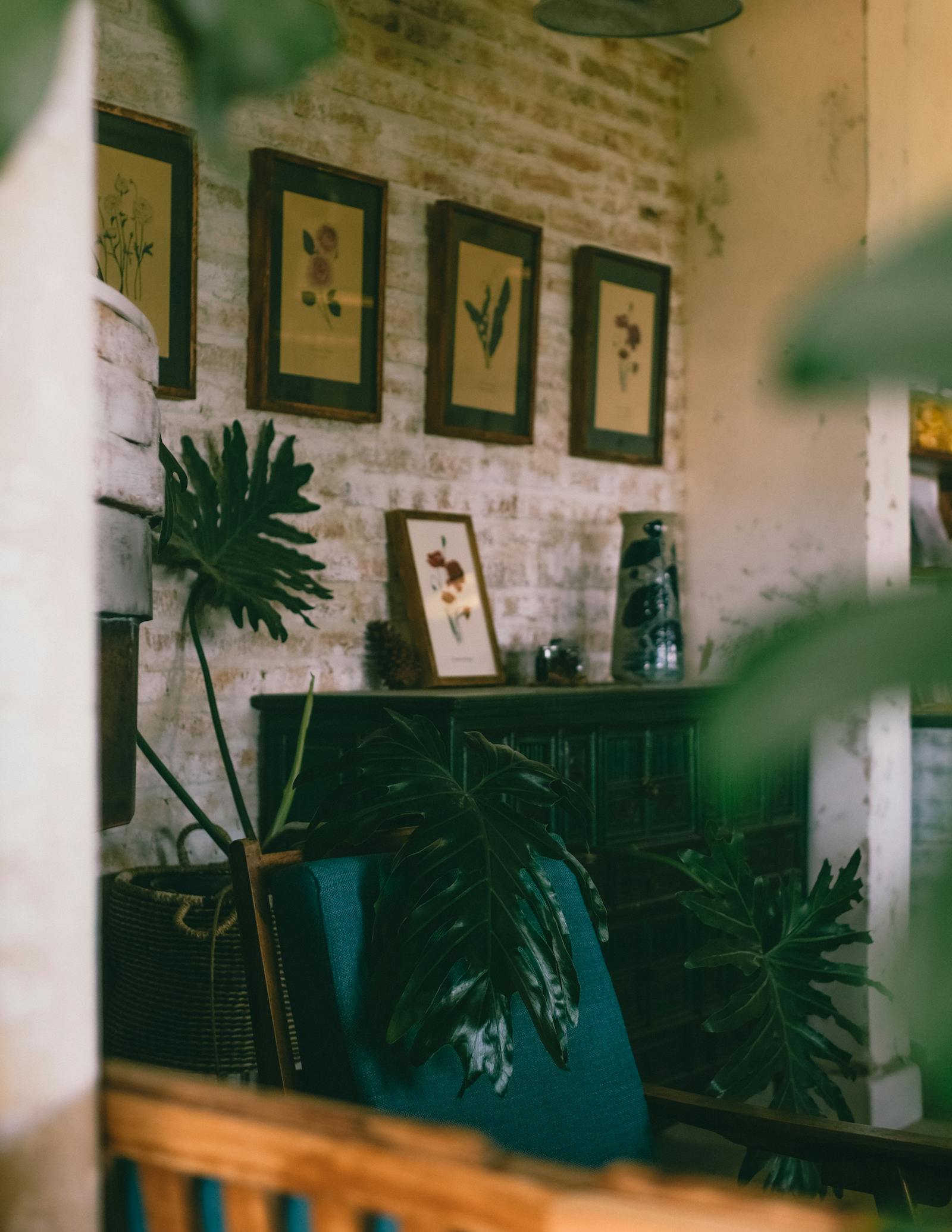 20mb Pictures Photos, Download The BEST Free 20mb Pictures Stock Photos ...