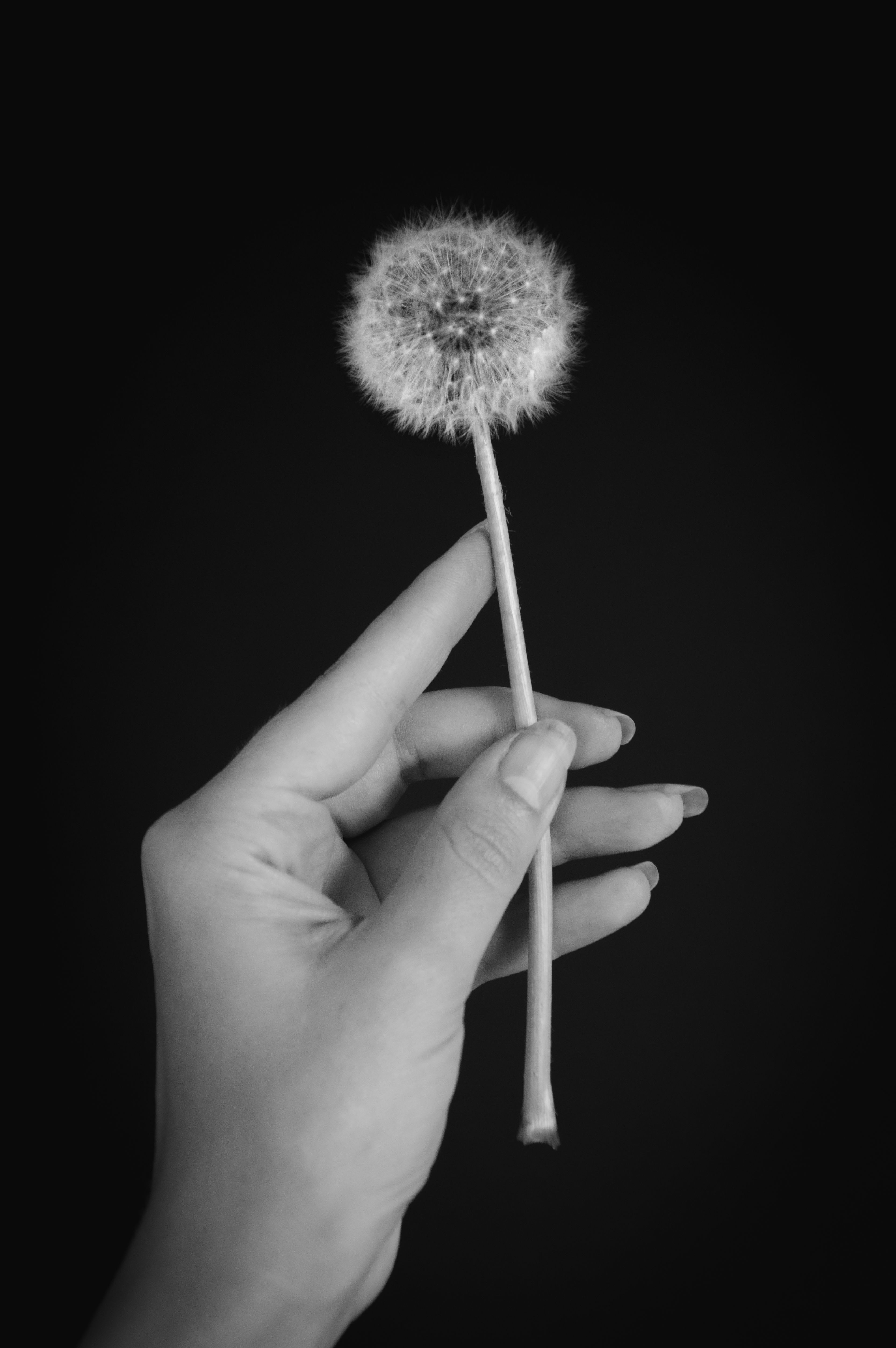 100.000+ Foto Sagility Background Terbaik · Unduh Gratis 100% · Foto ...