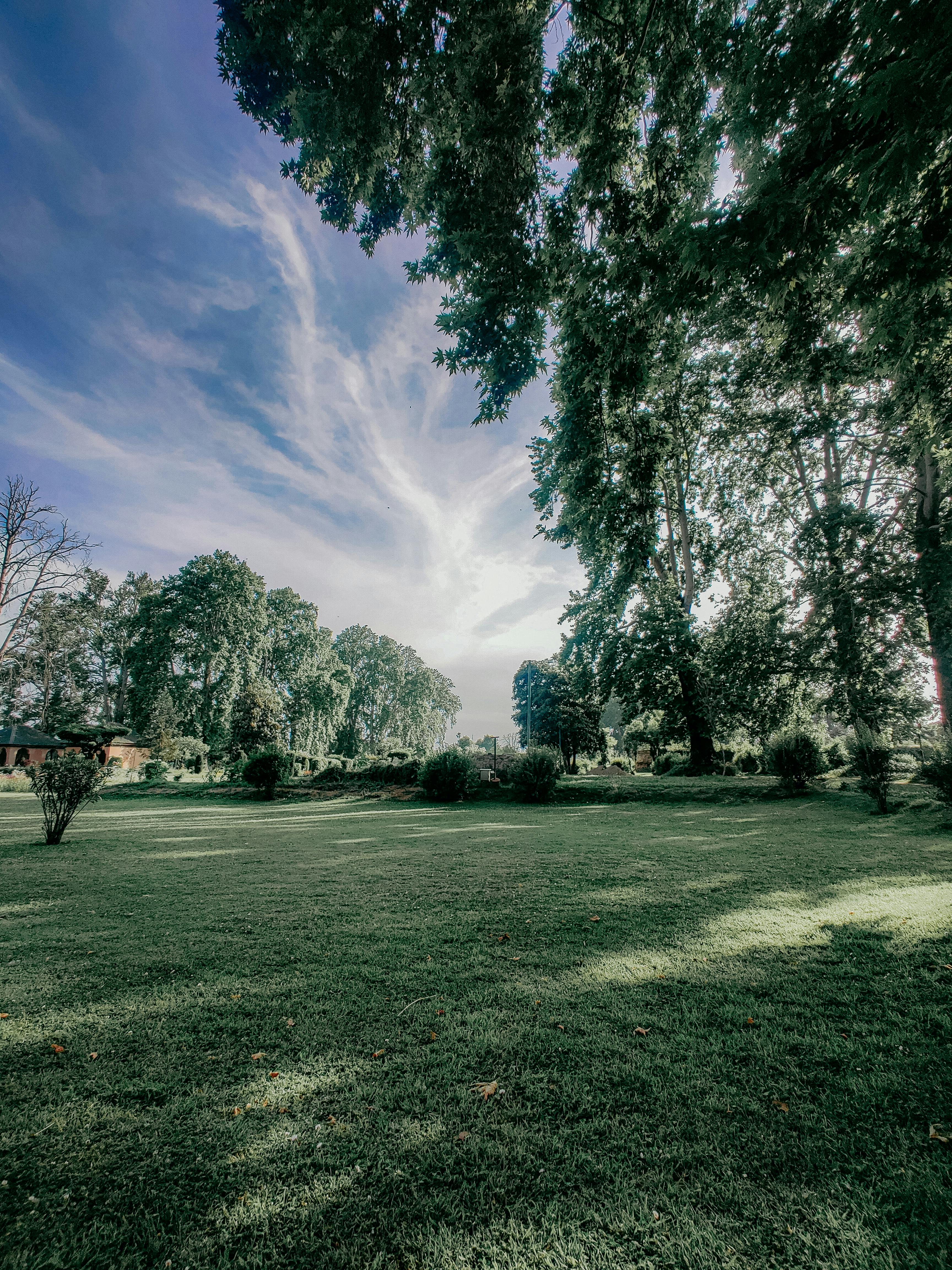 Foto stok gratis tentang bayangan, bimbingan, cahaya, daun, di luar ...