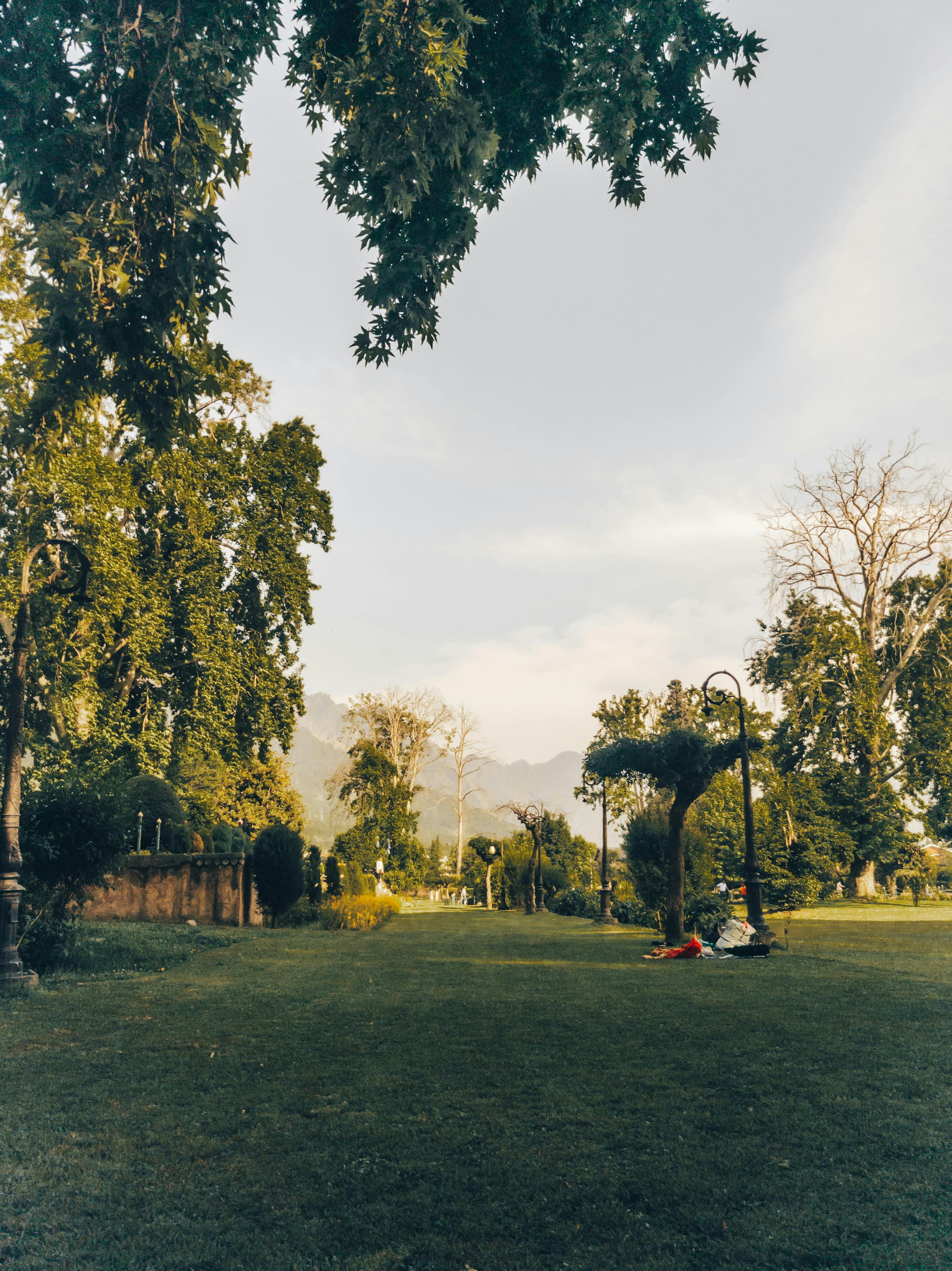 Grass Park Photos, Download The BEST Free Grass Park Stock Photos & HD ...