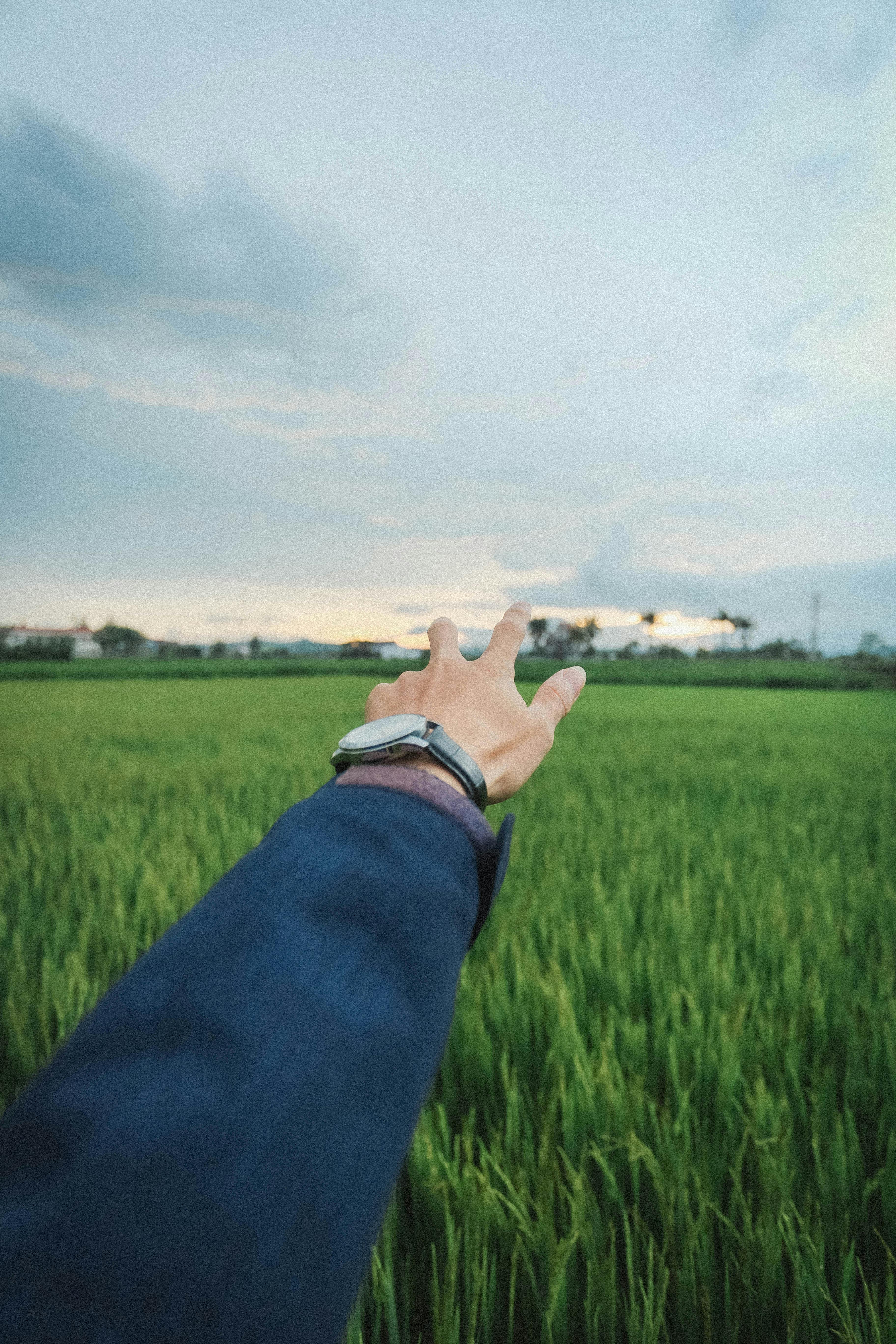 Hand Pointing on the Horizon · Free Stock Photo