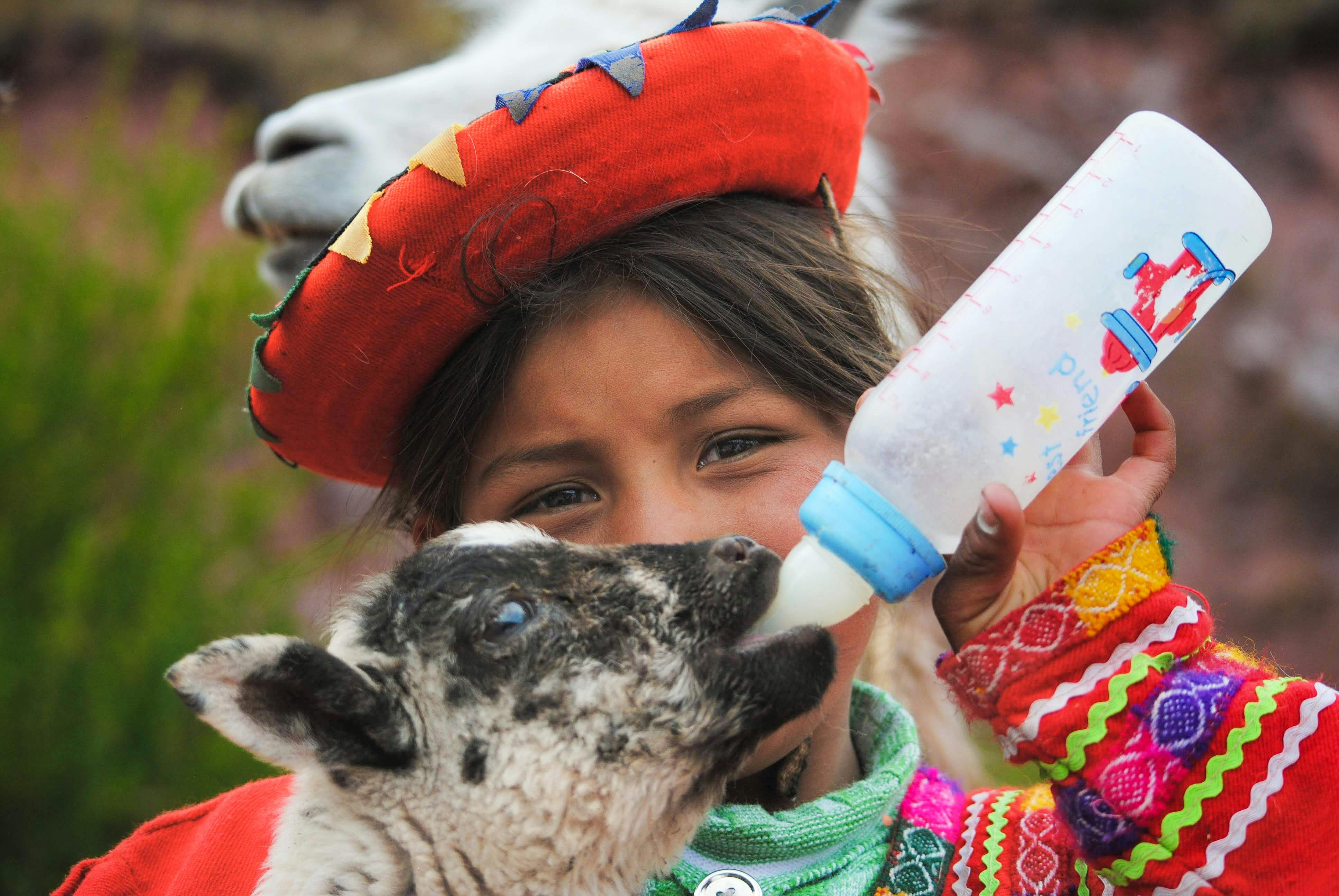 Jejak Tipicos Photos, Download The BEST Free Jejak Tipicos Stock Photos ...