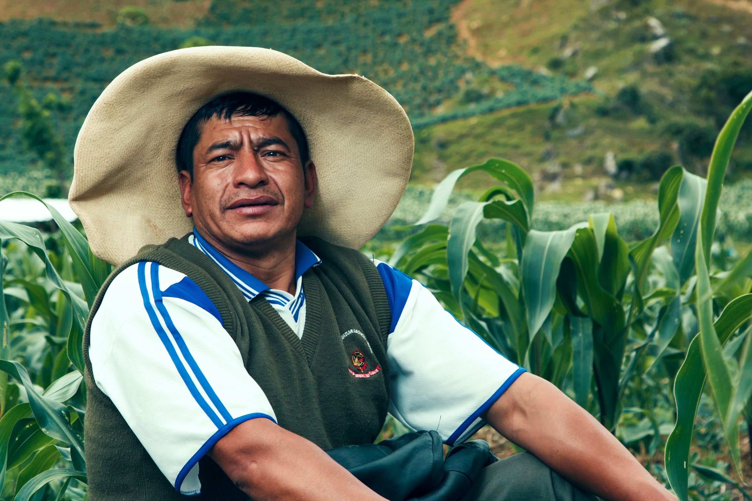 Farmer In Field Photos, Download The BEST Free Farmer In Field Stock ...