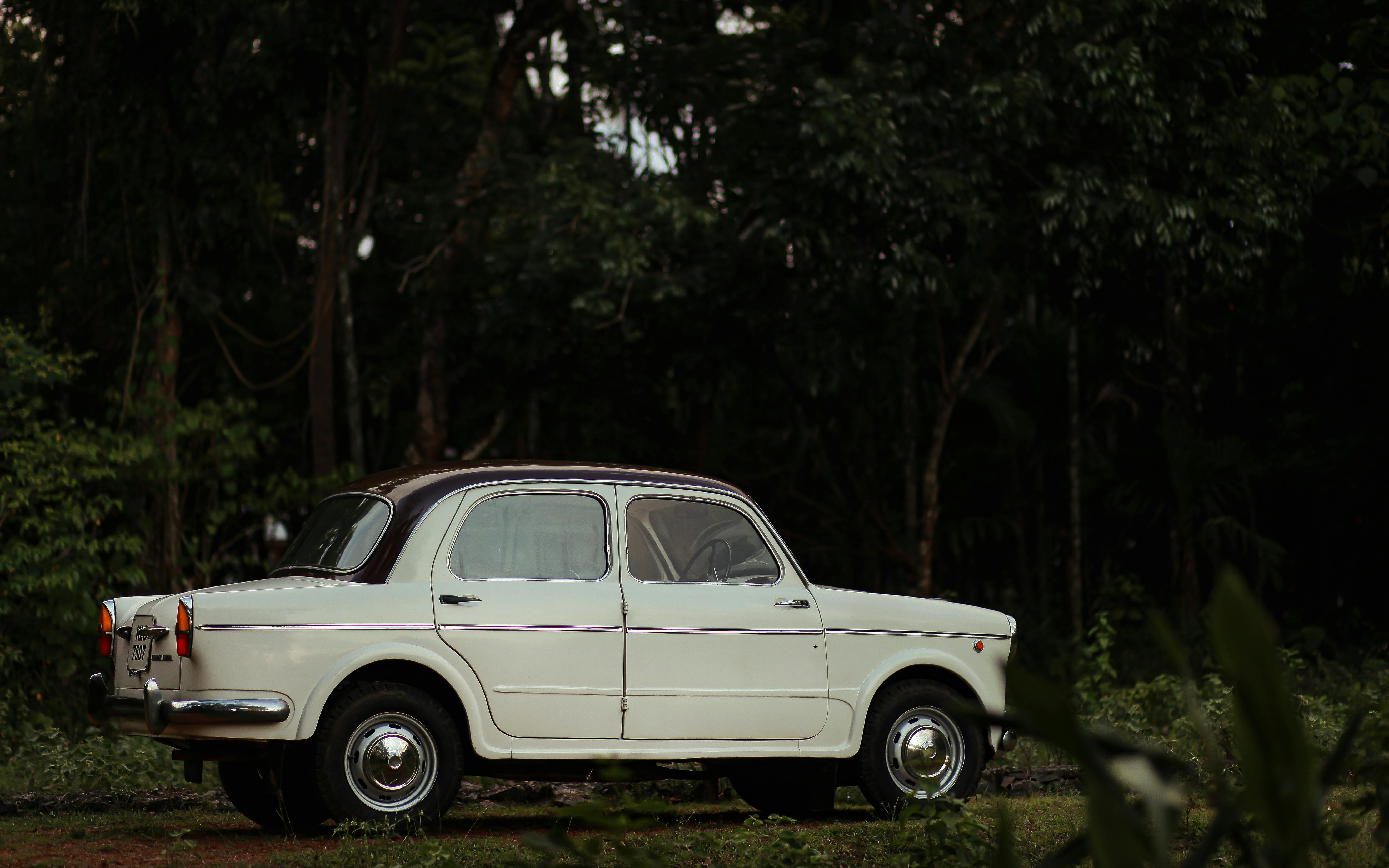 Decree Absolute Photos, Download The BEST Free Decree Absolute Stock ...