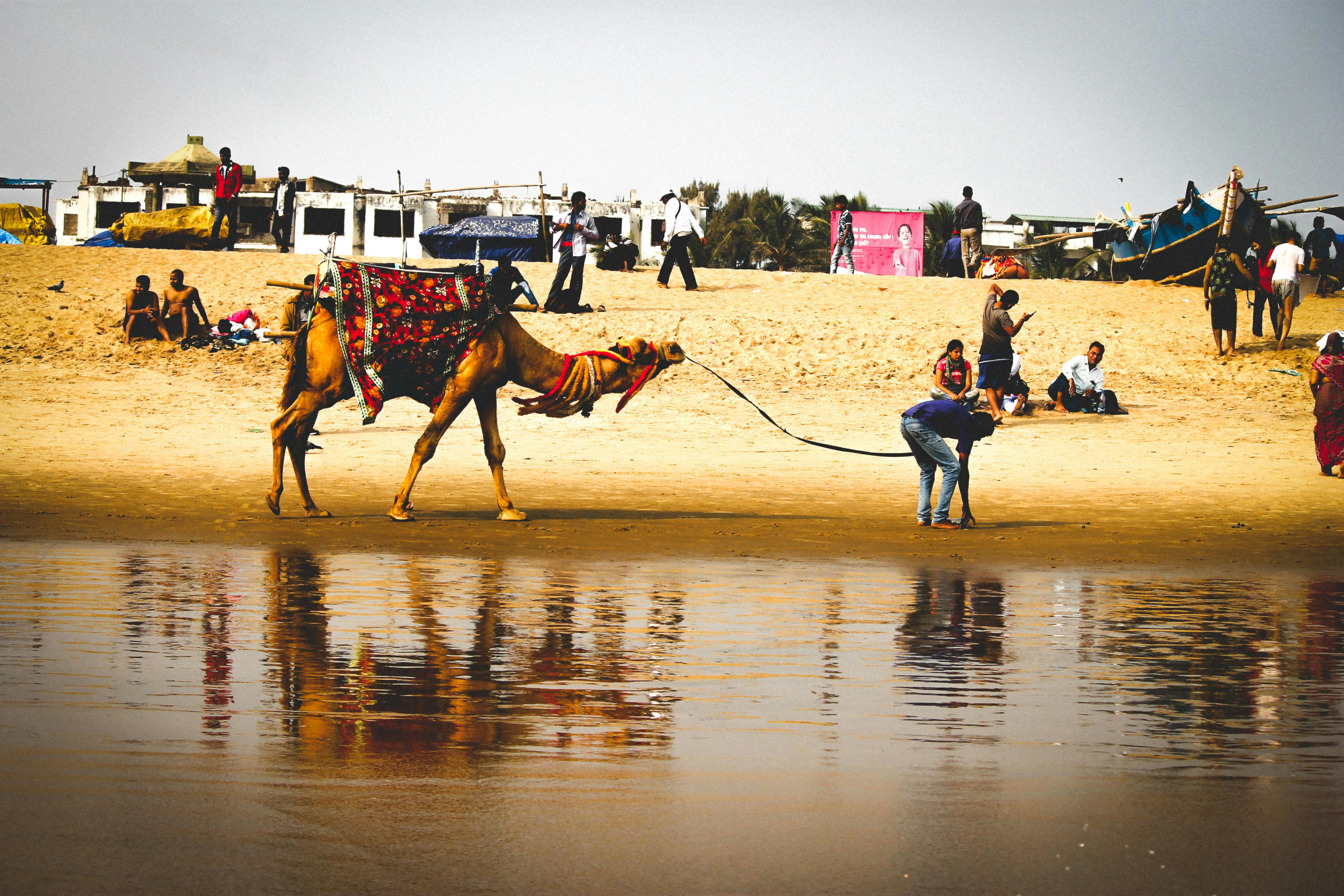 Anugrah Lohiya · Photography