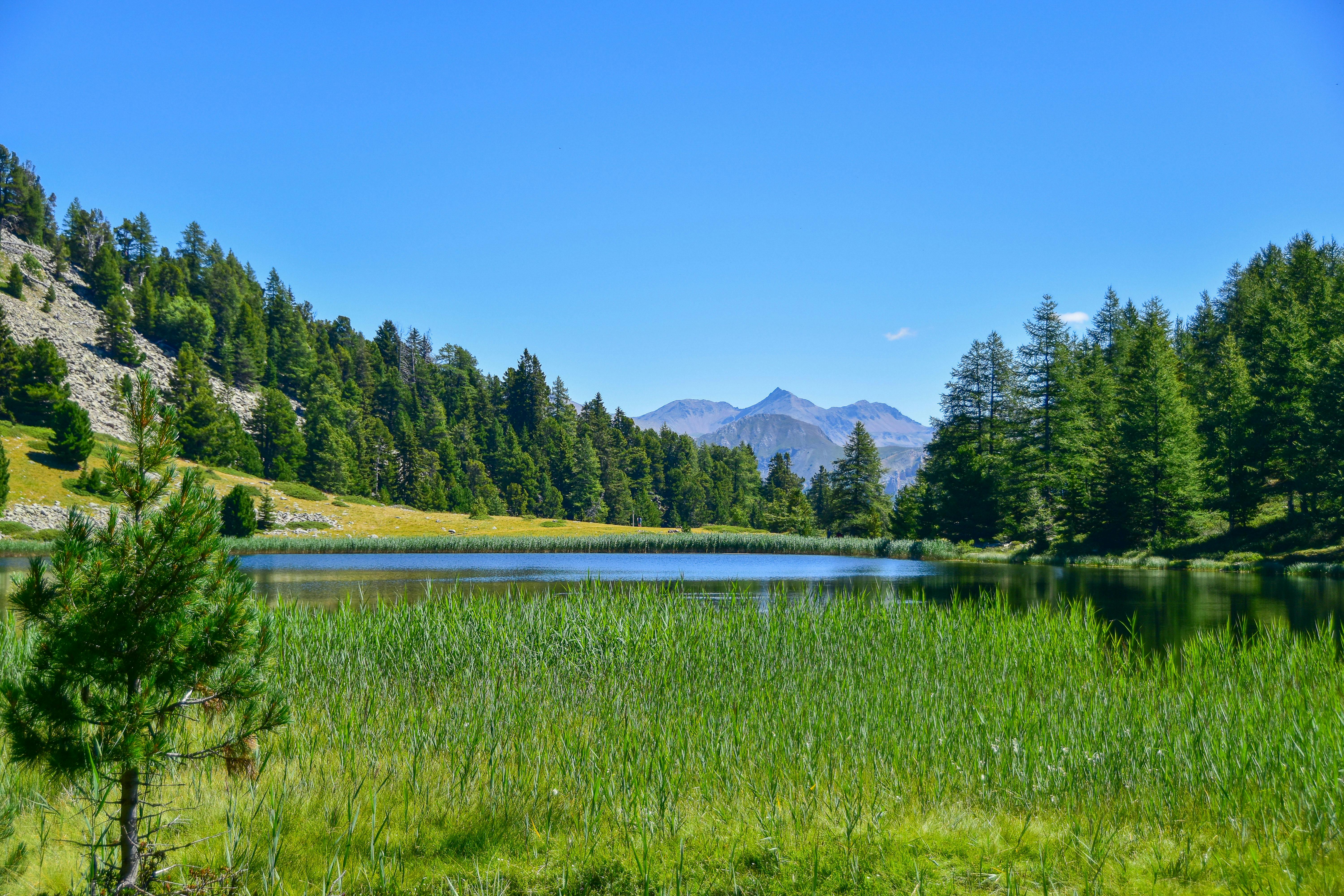 Nature Wallpaper Madival Photos, Download The BEST Free Nature ...