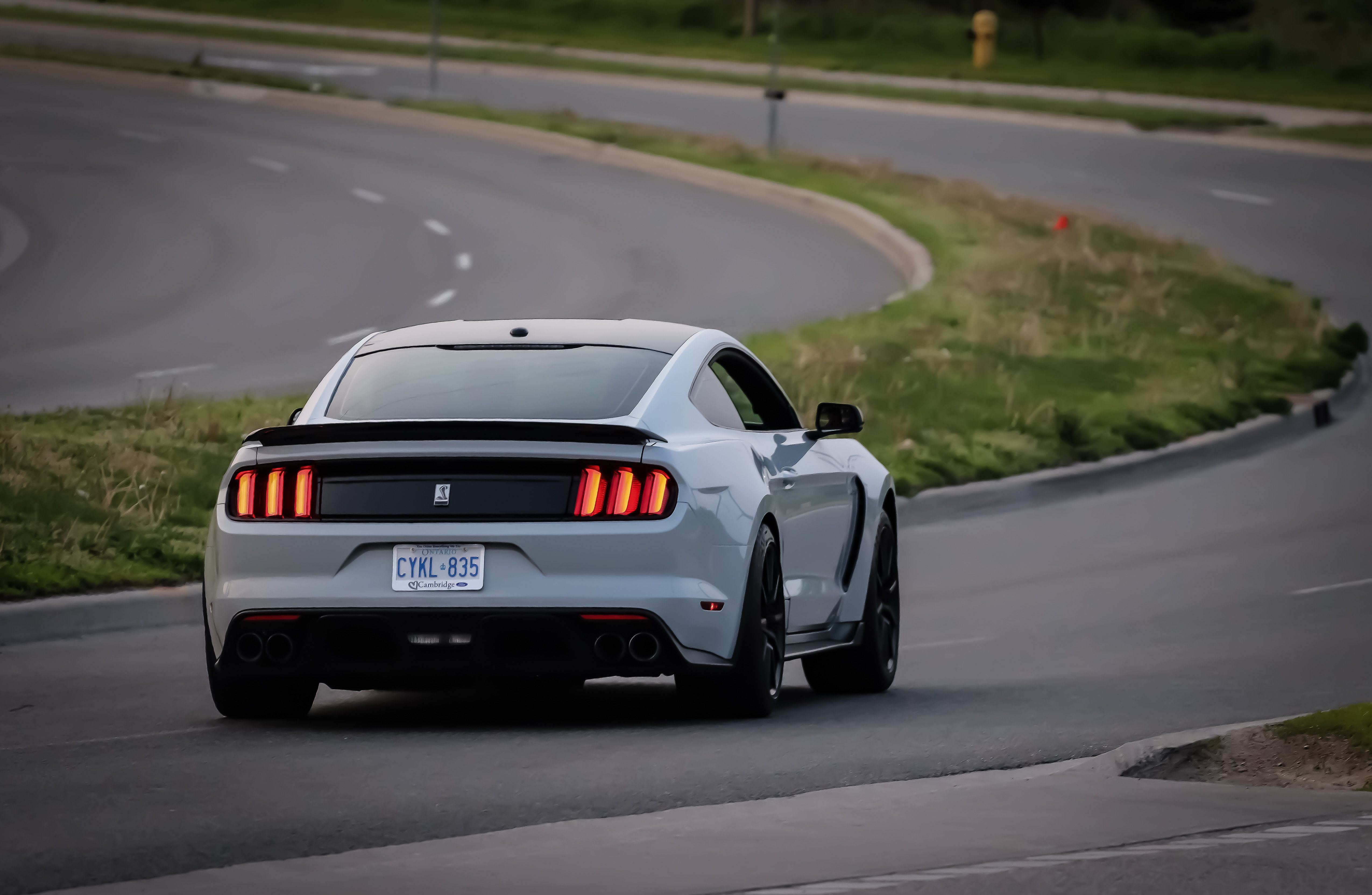 White Ford Mustang on Road · Free Stock Photo