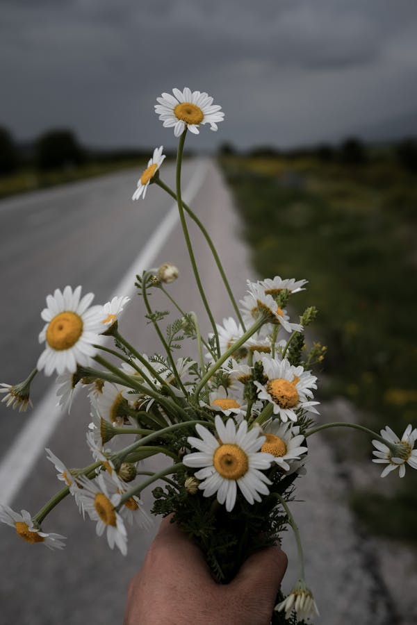 Flowers Hand Photos, Download The BEST Free Flowers Hand Stock Photos ...
