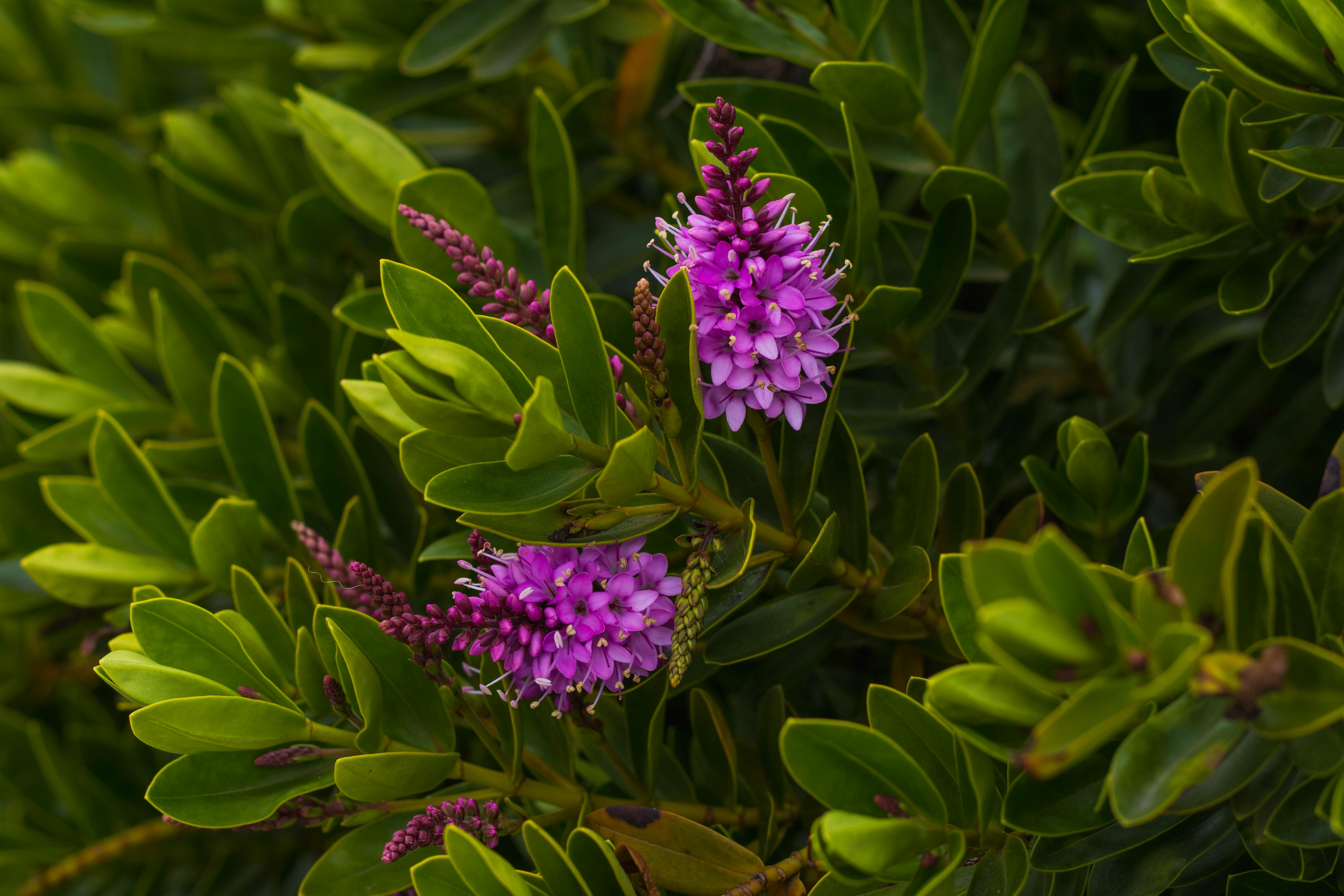Colorful Circular Blocks · Free Stock Photo