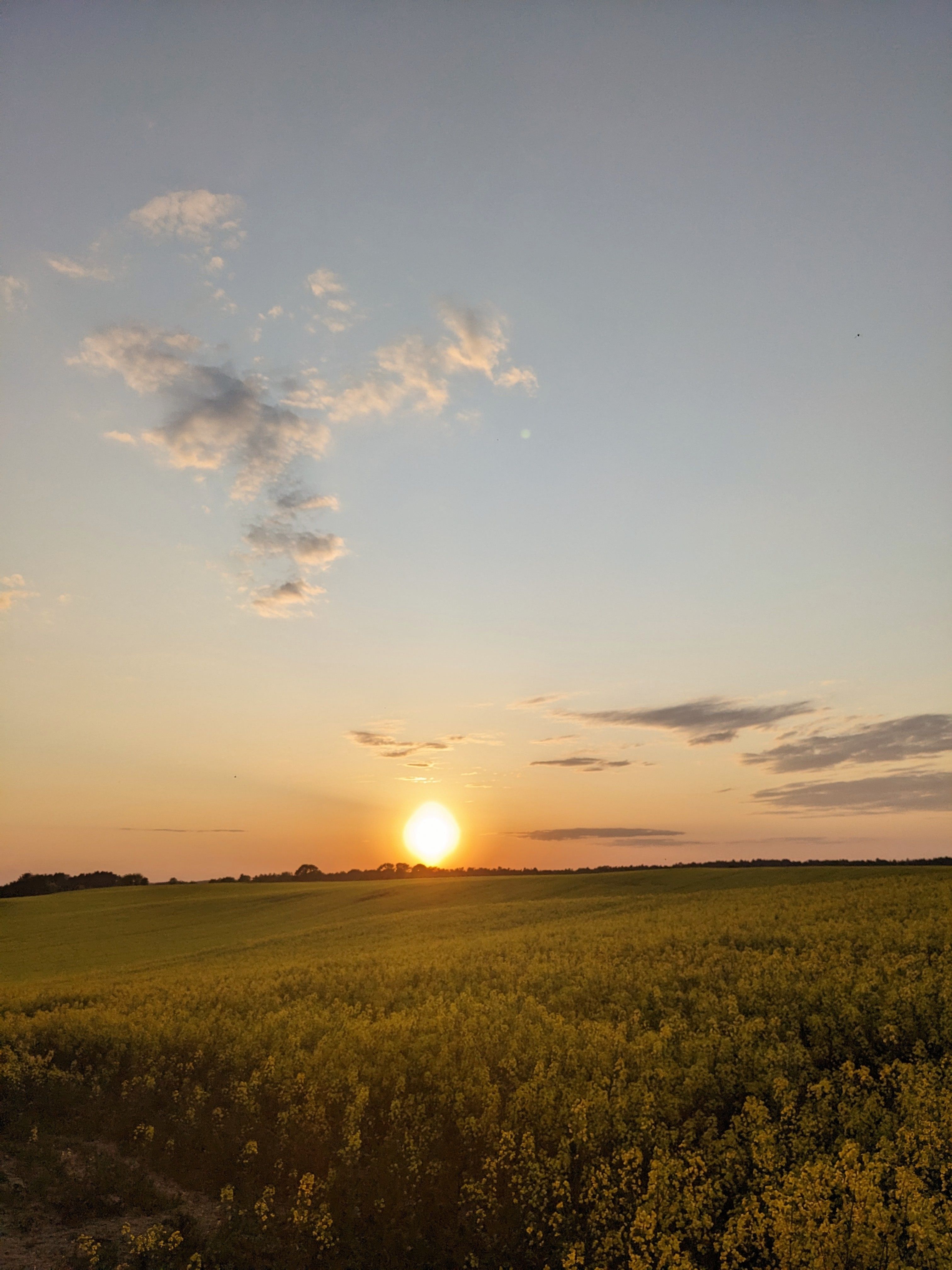 Landscape Sunset Photos, Download The BEST Free Landscape Sunset Stock ...