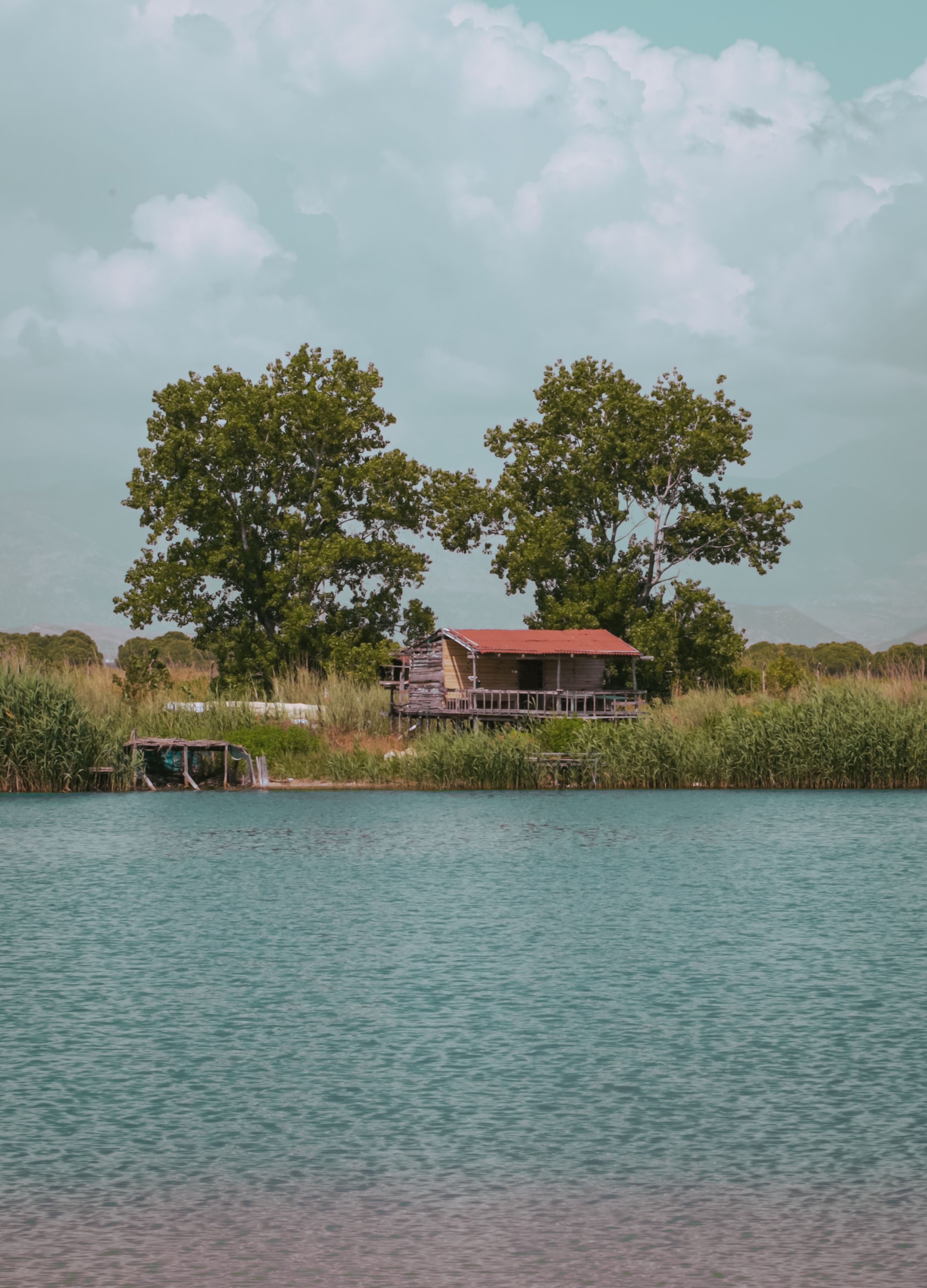 Wooden House and Trees on the Lakeshore · Free Stock Photo