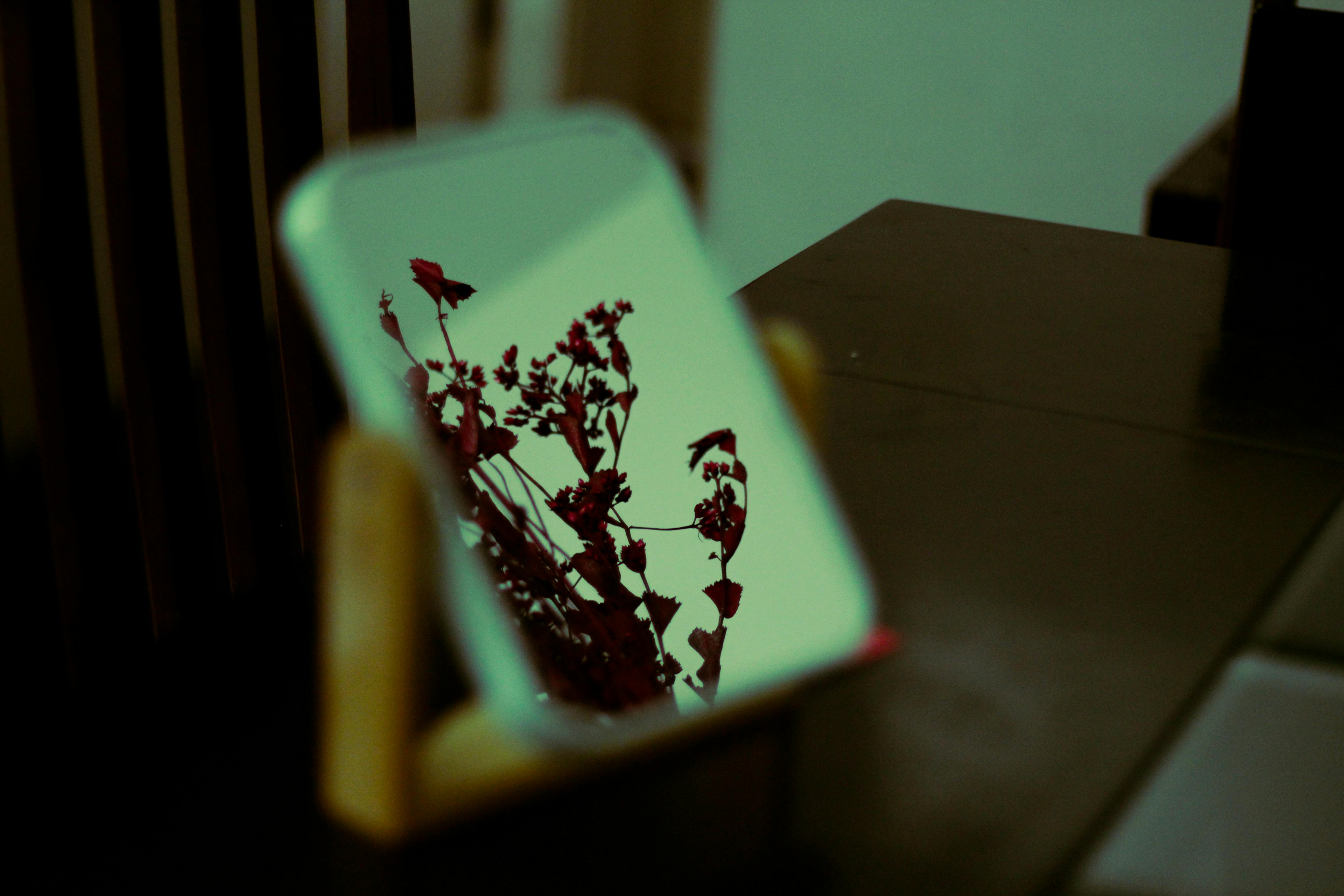 5.000+ Foto Lemari Terbaik · Unduh Gratis 100% · Foto Stok Pexels