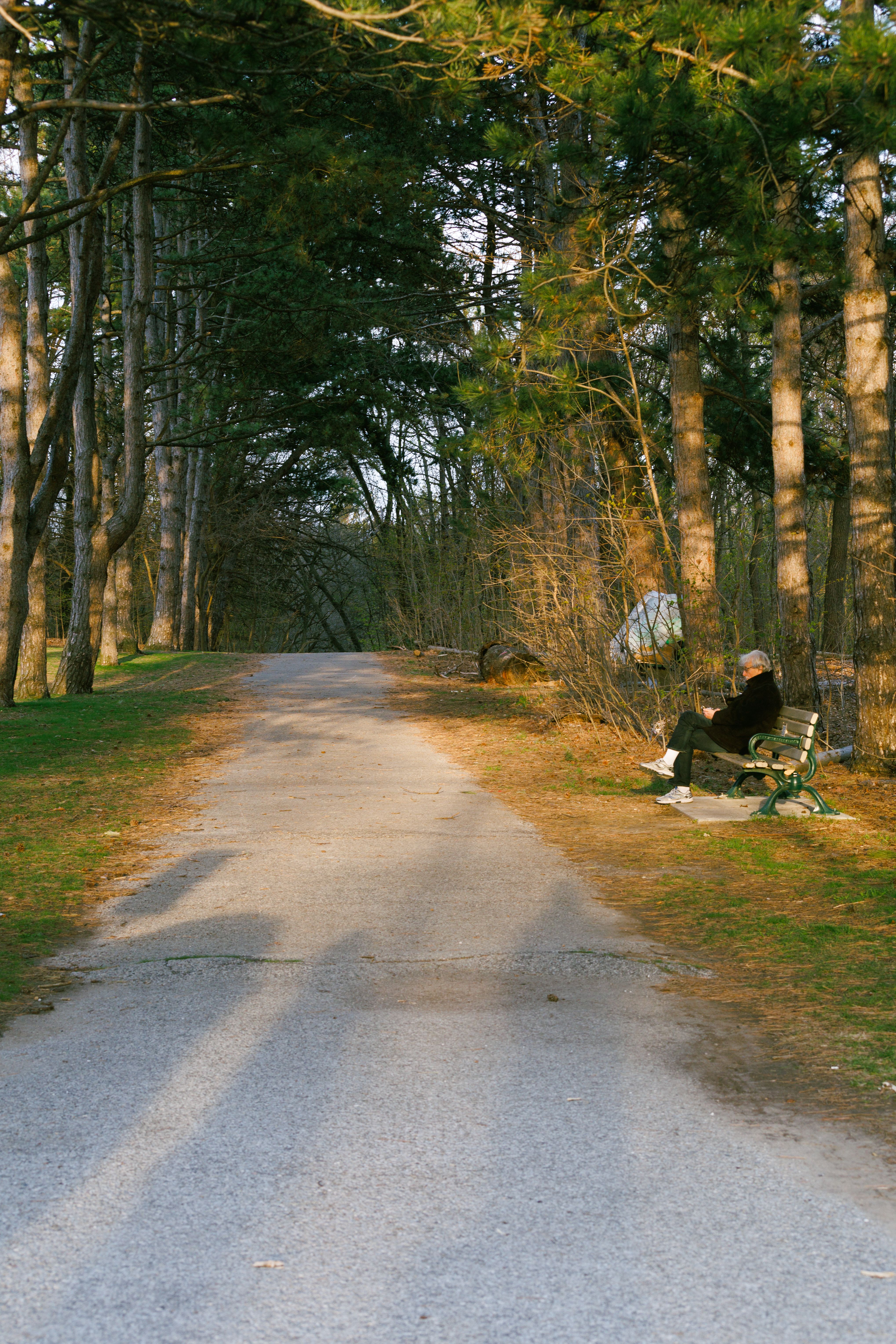 Man Sitting on the Bench by the Roadside · Free Stock Photo