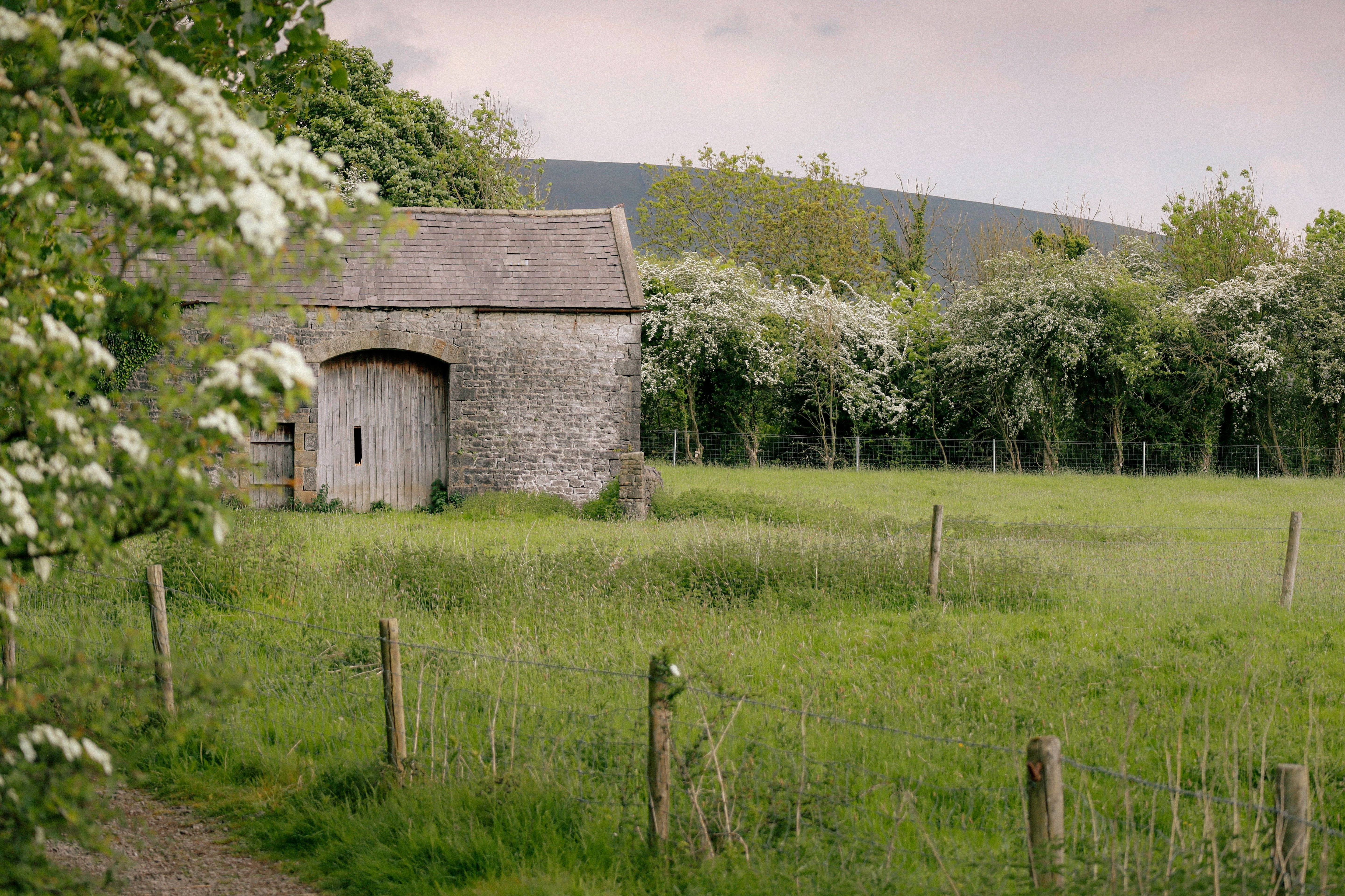 Old Stone Barn Among Trees · Free Stock Photo