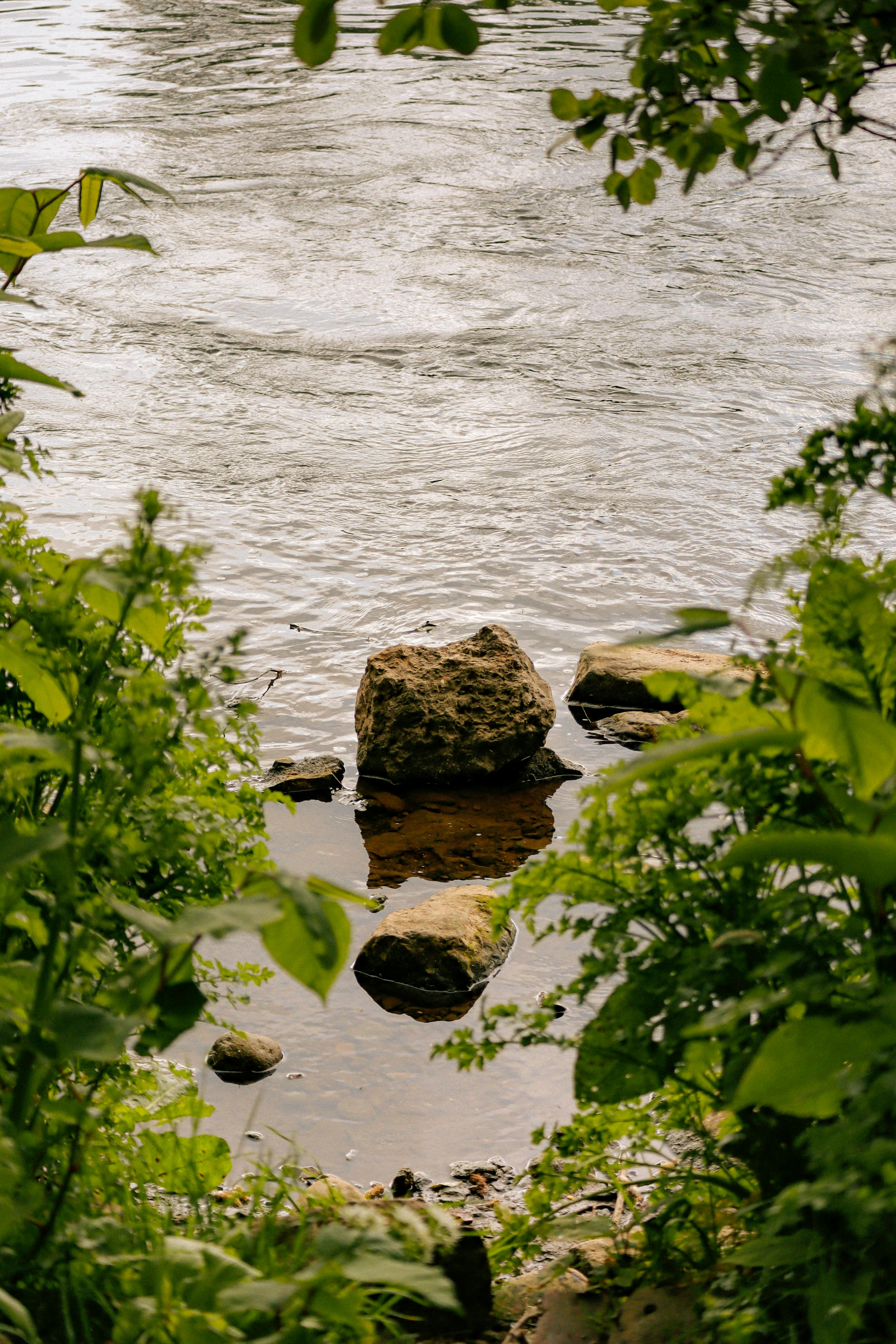 Stones by the River Bank · Free Stock Photo