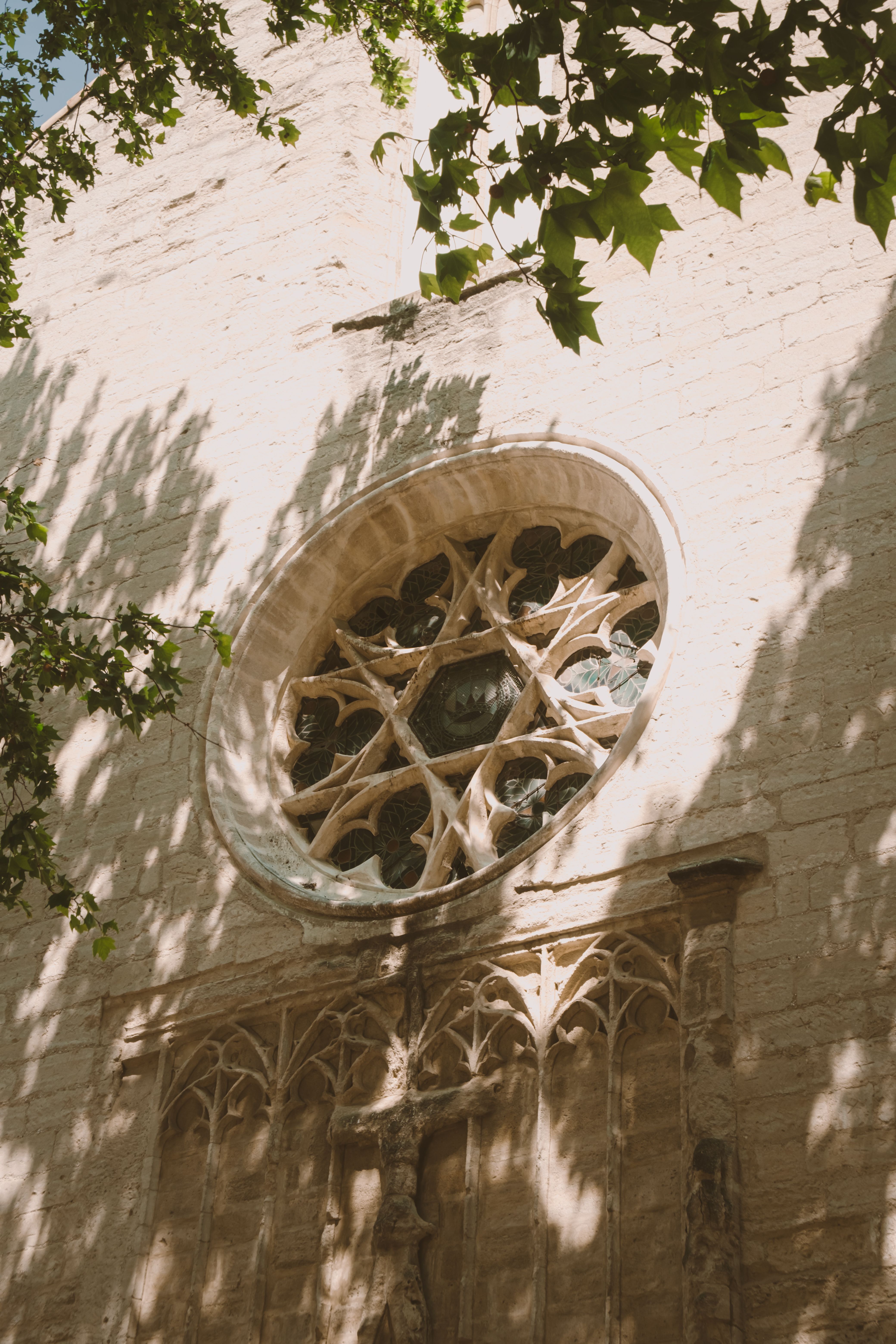 Closeup of a Gothic Church Rosette · Free Stock Photo
