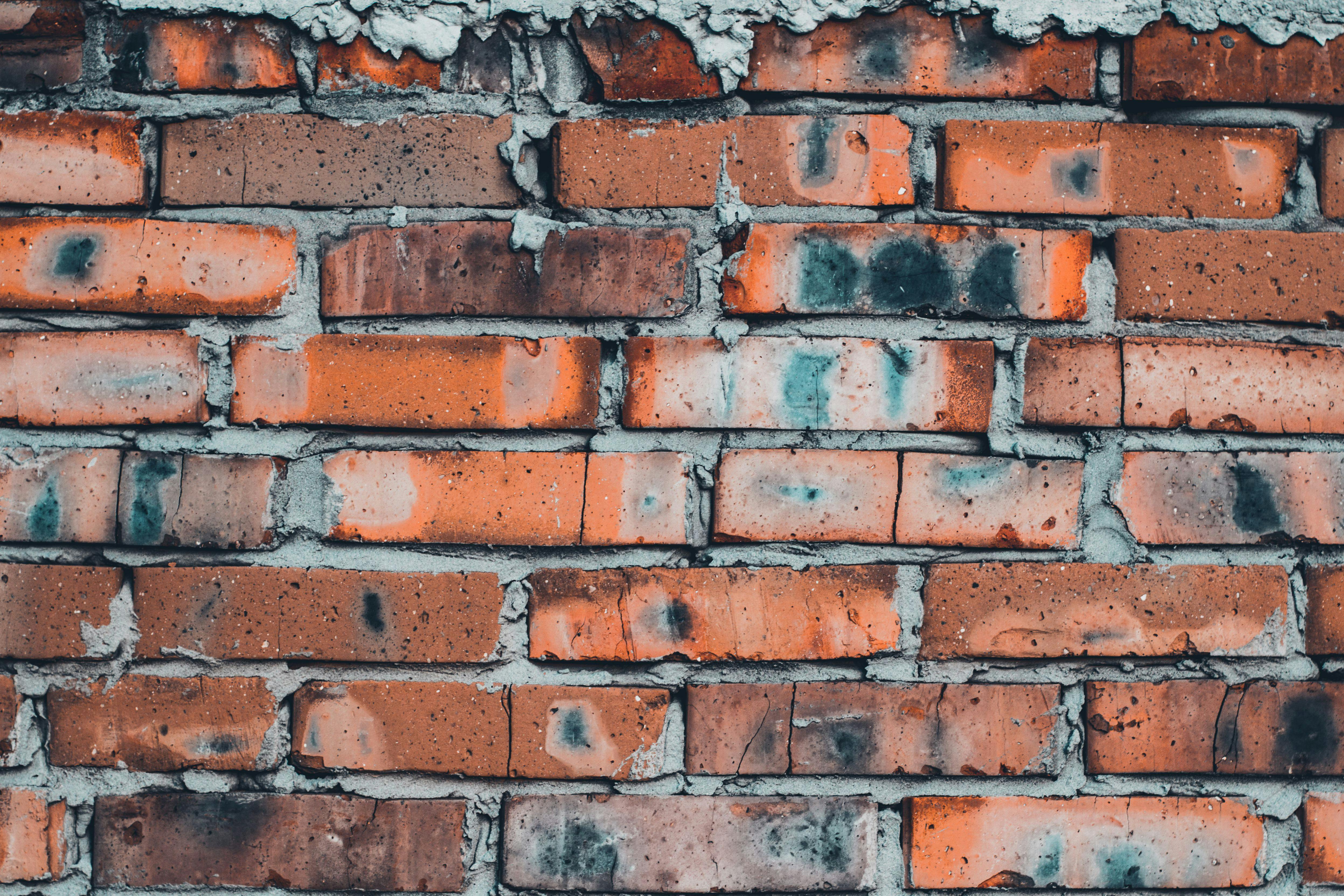 Brick Wall · Free Stock Photo